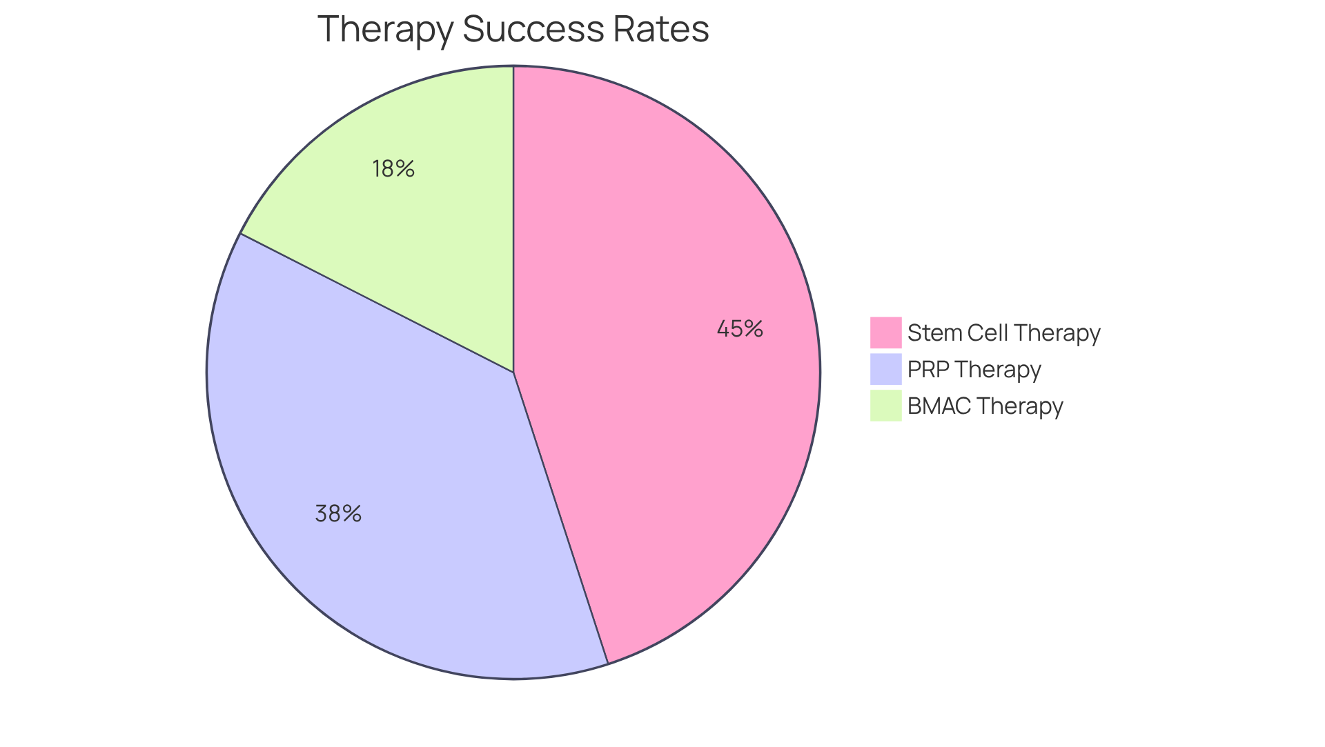 Each slice of the pie represents the success rate of a specific treatment for chronic pain. The larger the slice, the higher the success rate, helping you see which therapies have been most effective for patients.