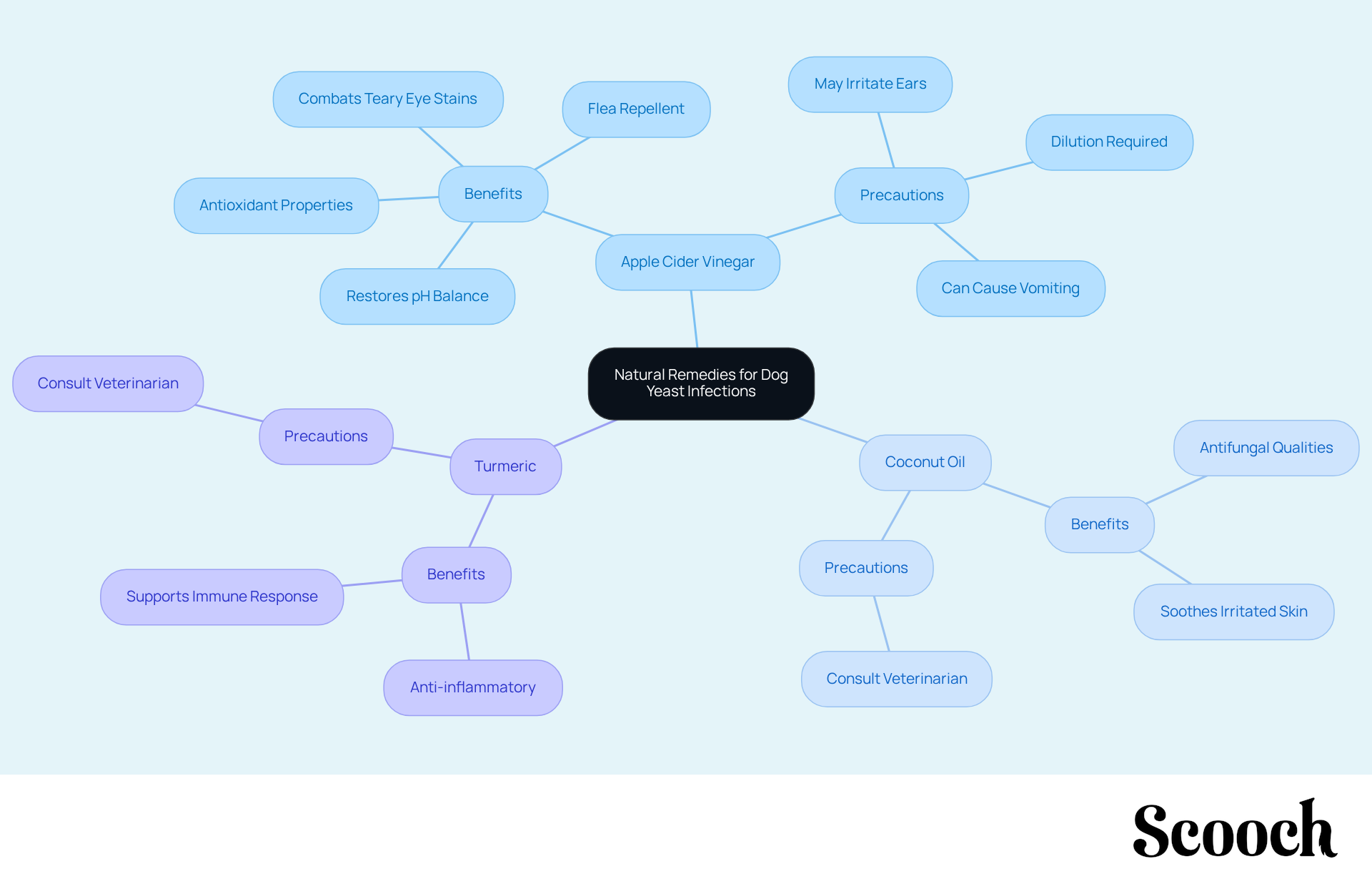 The center shows the main topic of natural remedies. Each branch represents a specific remedy, with further branches detailing its benefits and any important cautions. This helps you see at a glance what options are available and what to consider for your dog's health.