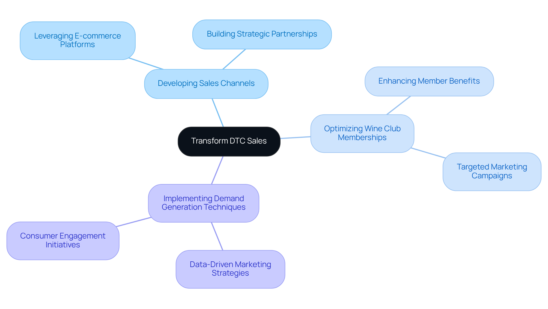 The central idea represents the overall goal of transforming DTC sales. The branches show the key advisory services offered, and sub-branches can detail specific strategies or insights that support each service.