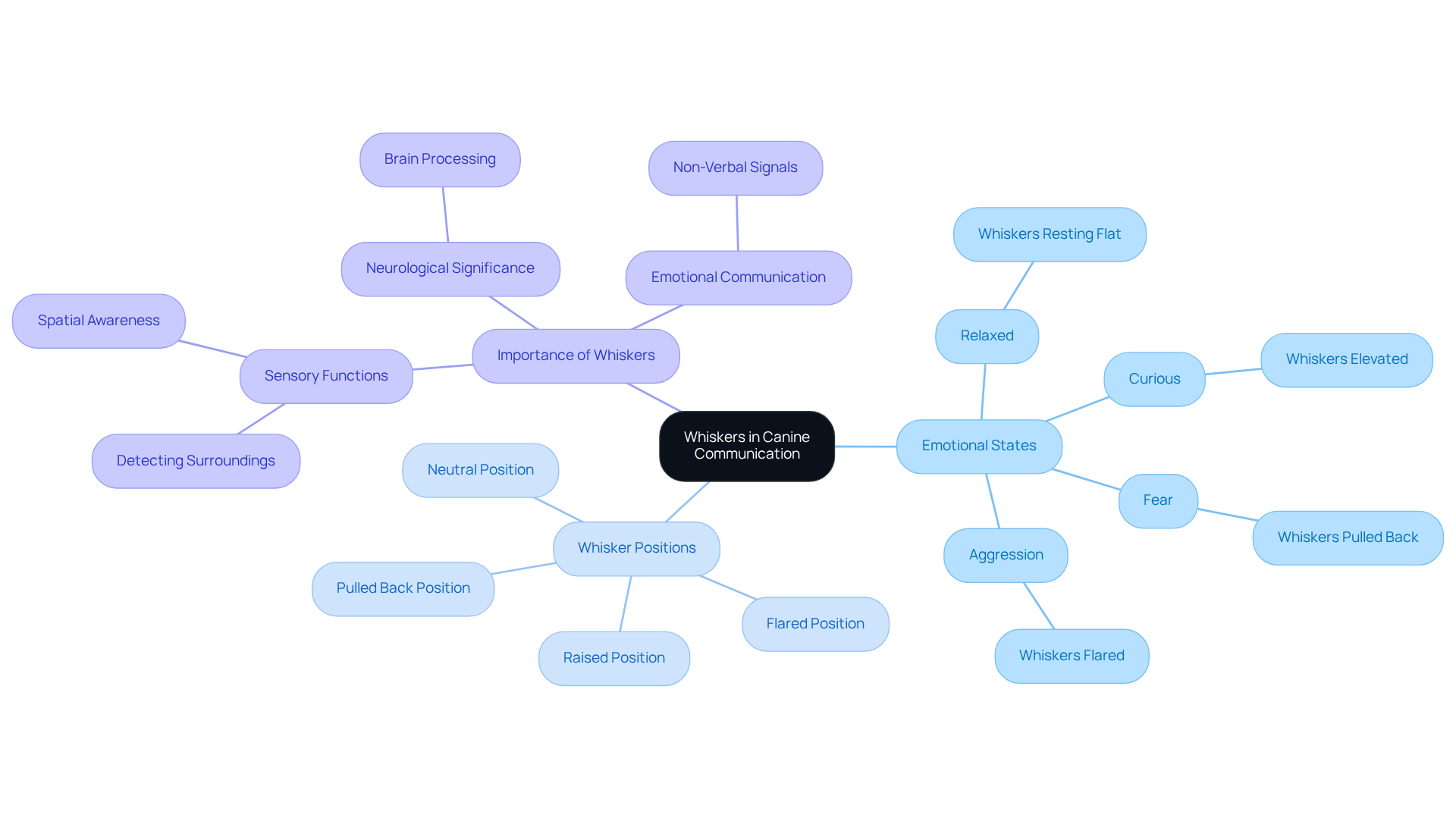 The central node represents the overall theme of whiskers in dog communication. Each branch shows how different emotional states relate to specific whisker positions, helping you decode your dog's feelings.