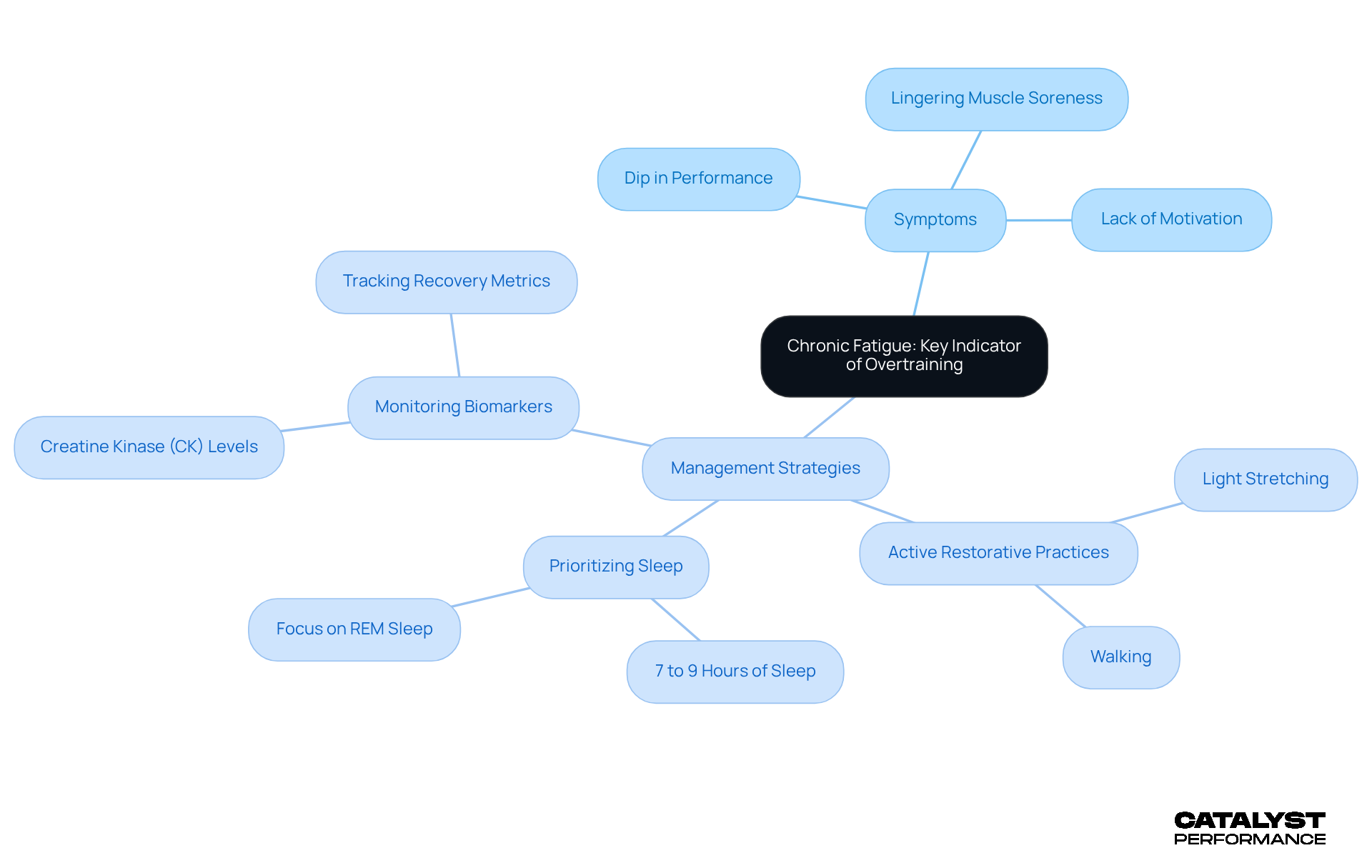 The central node represents chronic fatigue, while the branches show symptoms and management strategies. Each symptom and strategy is connected to help you see how they relate to the main issue.