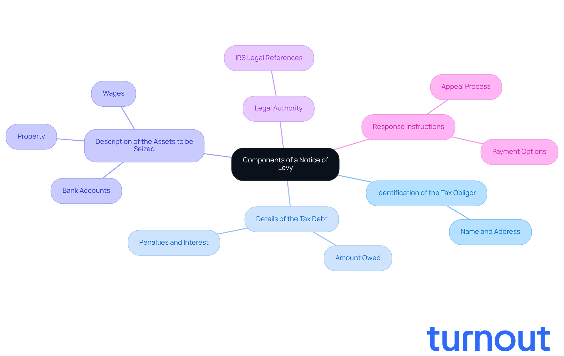 The central node represents the notice of levy, while each branch highlights a key component. Follow the branches to understand what each part means and how they relate to the overall document.