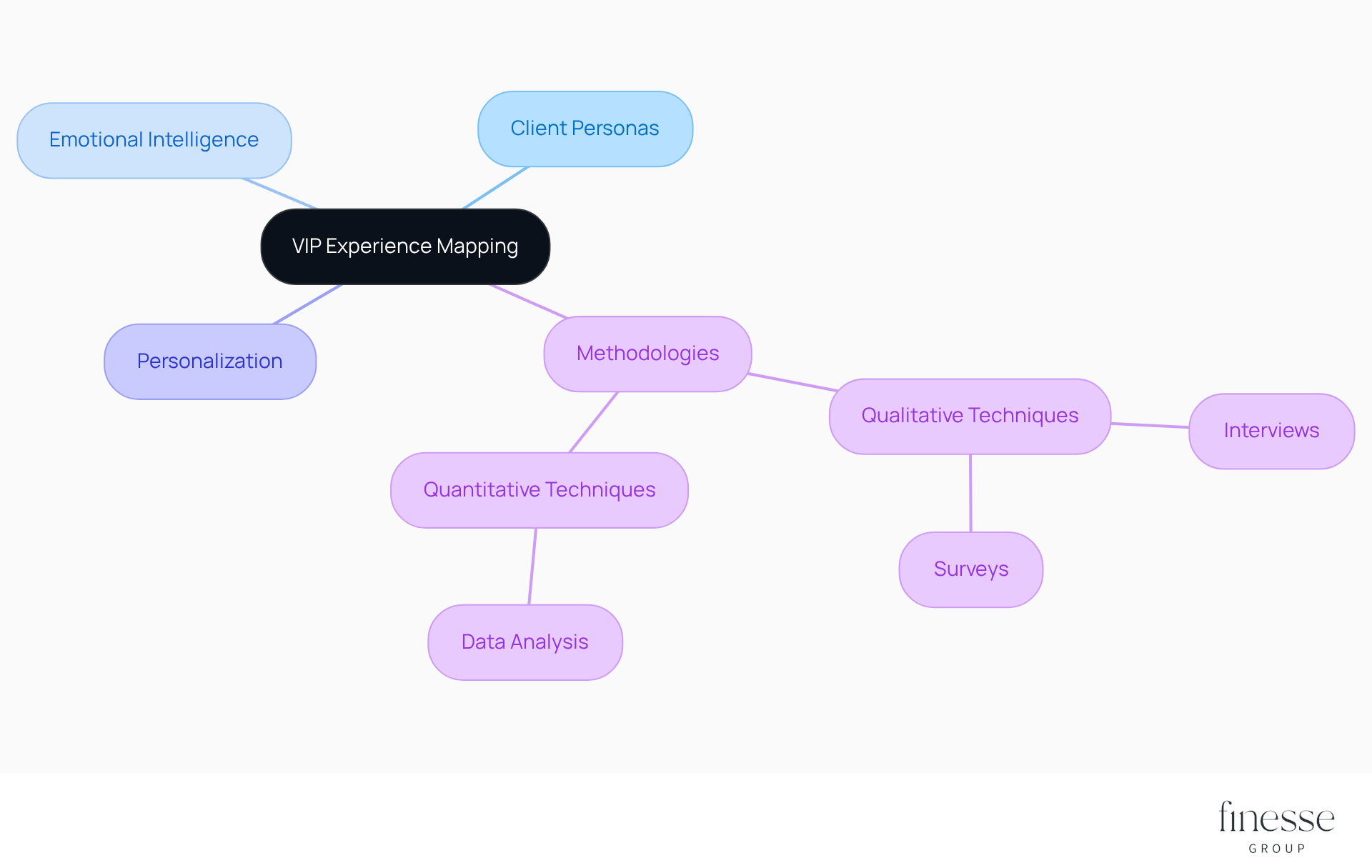 The center node represents VIP experience mapping, with branches illustrating key characteristics and methodologies. Each color-coded branch shows the different aspects that contribute to effective client engagement.