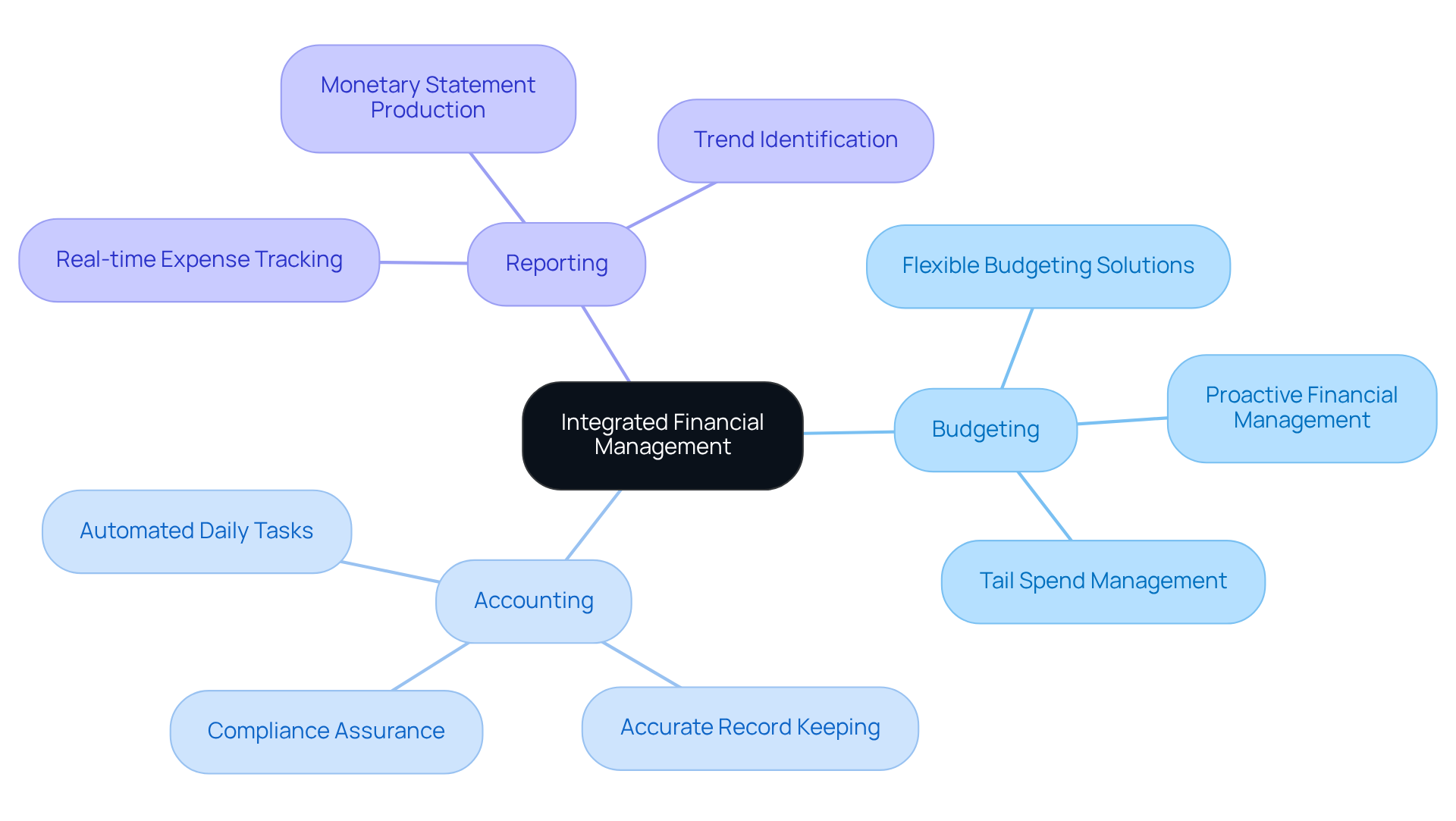 The central node represents the overall strategy, while the branches show the key components of financial management. Each sub-branch provides more detail about specific practices or tools related to that component.