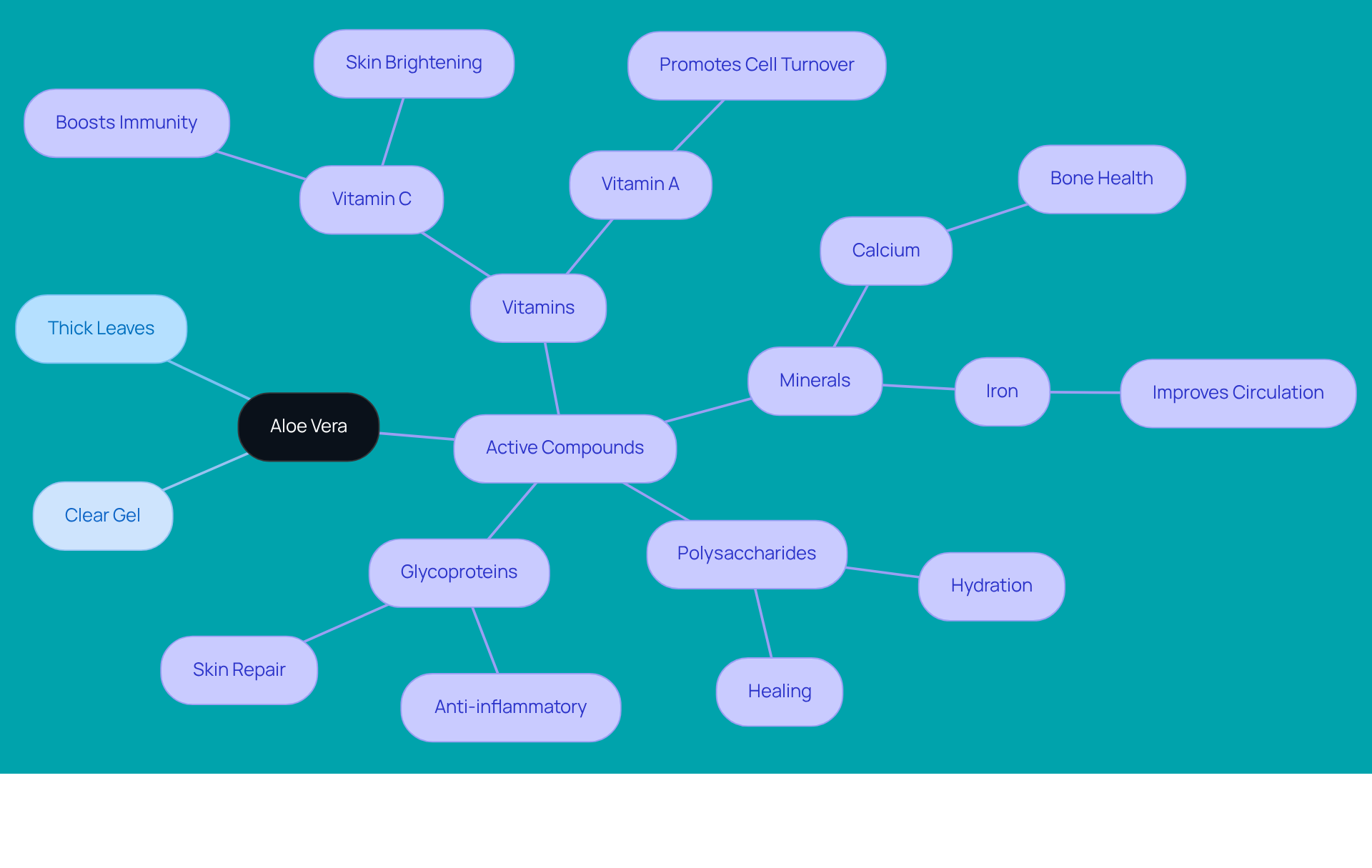 The central node represents Aloe Vera, while the branches show its key features and how they contribute to skincare. Follow the branches to discover the plant's amazing properties and benefits!