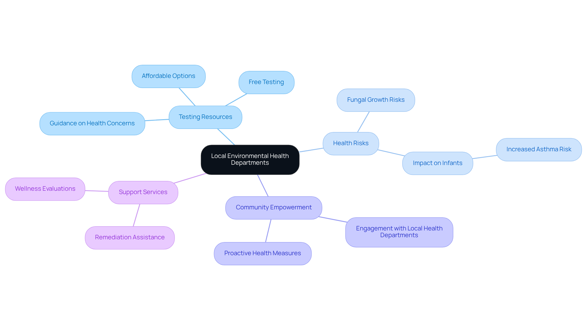 The center represents local health departments, with branches showing different aspects of their resources and support. Each branch highlights how these departments help the community, from testing options to addressing health risks.