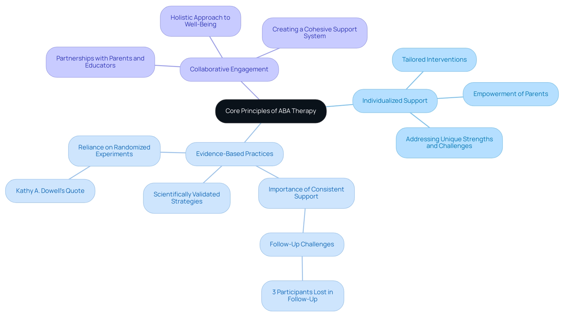 The central node represents ABA Therapy's principles, with branches for each main principle and sub-branches detailing their specific aspects.