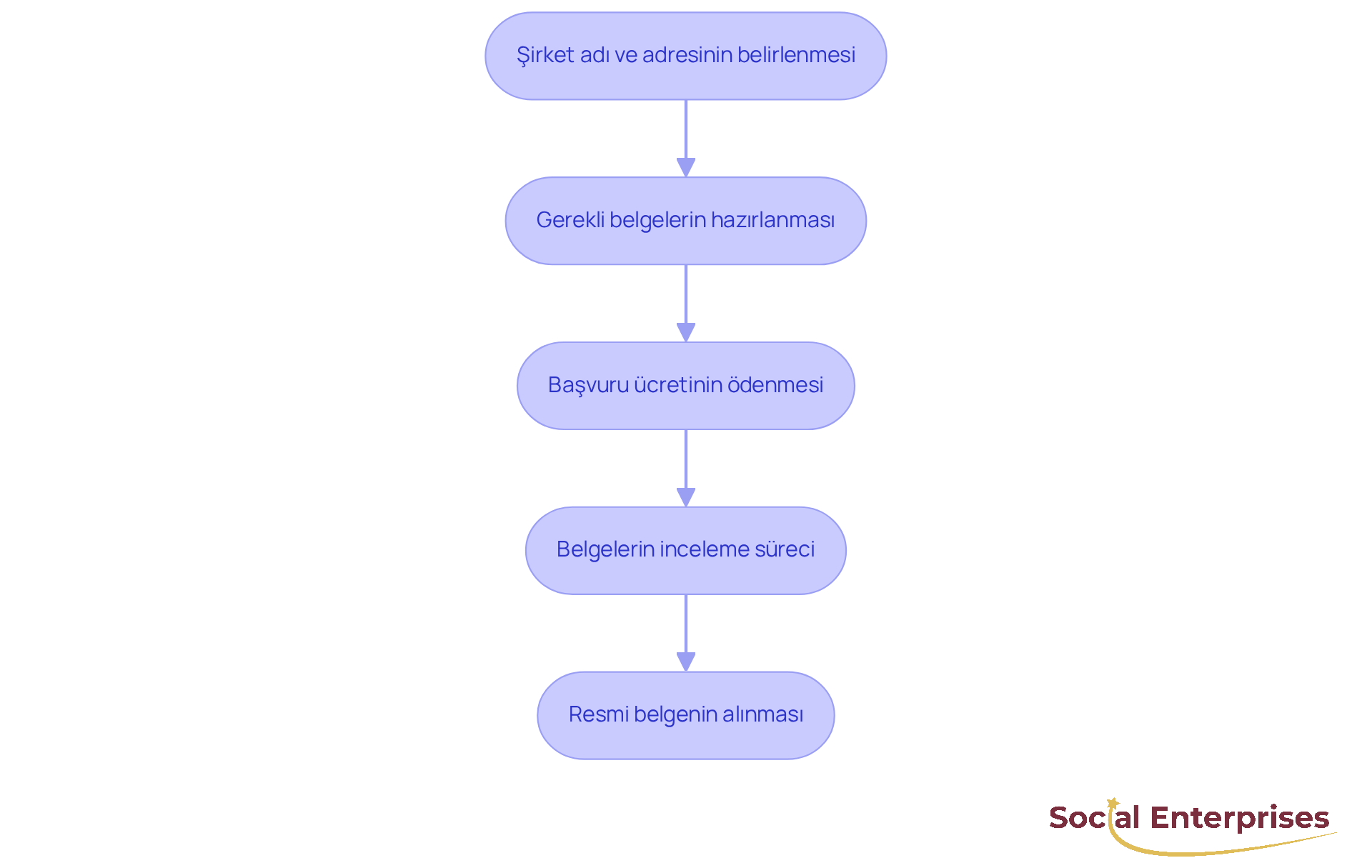 Her kutucuk, sürecin bir aşamasını temsil eder. Oklar, adımlar arasındaki akışı gösterir — ilk adımdan başlayarak son adım olan resmi belgenin alınmasına kadar ilerleyin.