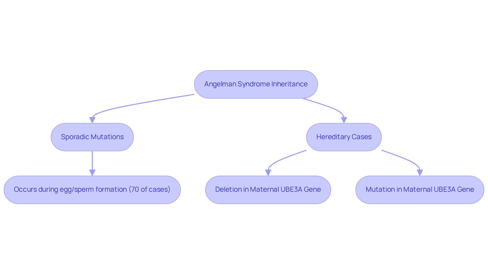 This flowchart illustrates how Angelman Syndrome can arise from different genetic mechanisms. Follow the arrows to understand how sporadic mutations and hereditary cases differ, and see the implications for families regarding the risk of recurrence.