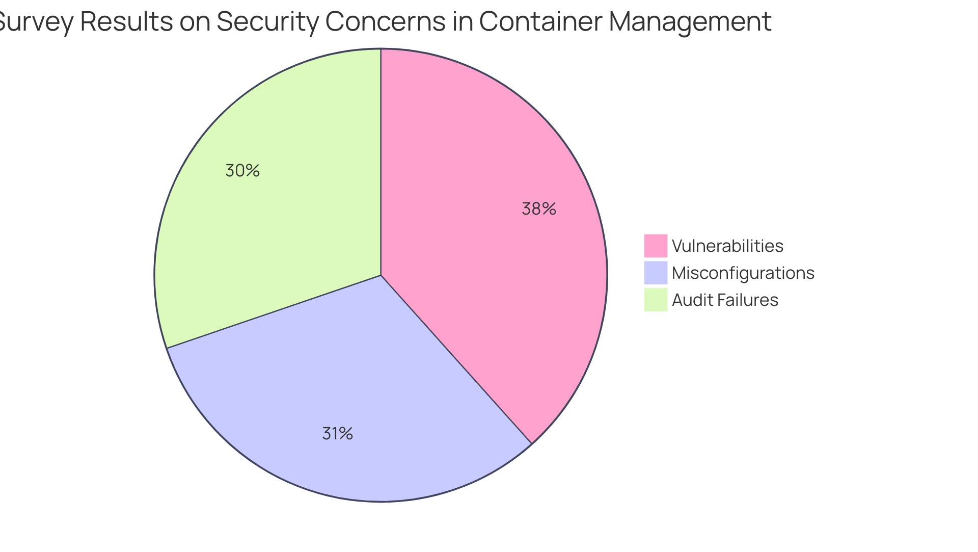 Each segment represents a specific security concern, with its size corresponding to the percentage of respondents expressing that concern.