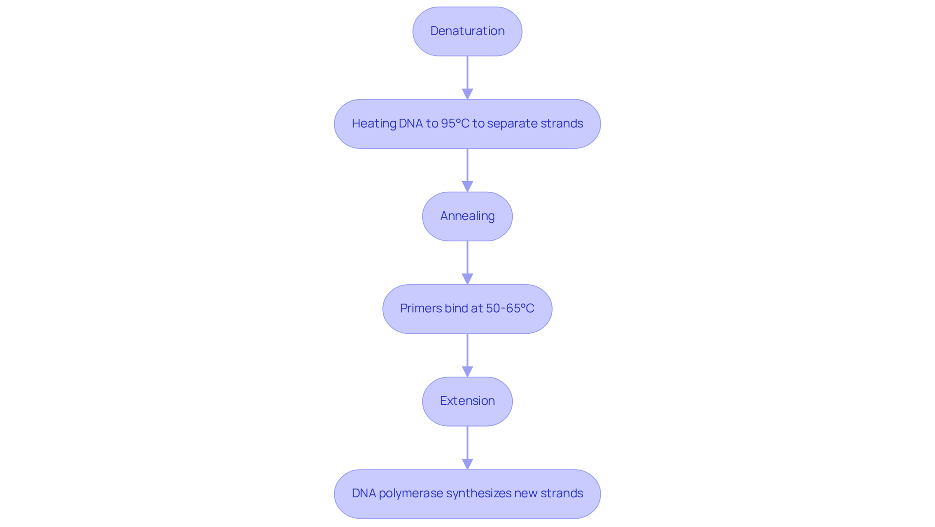 Follow the arrows to see how each phase of the PCR process leads to the next. Each box explains what happens during that phase and the conditions needed for successful amplification.