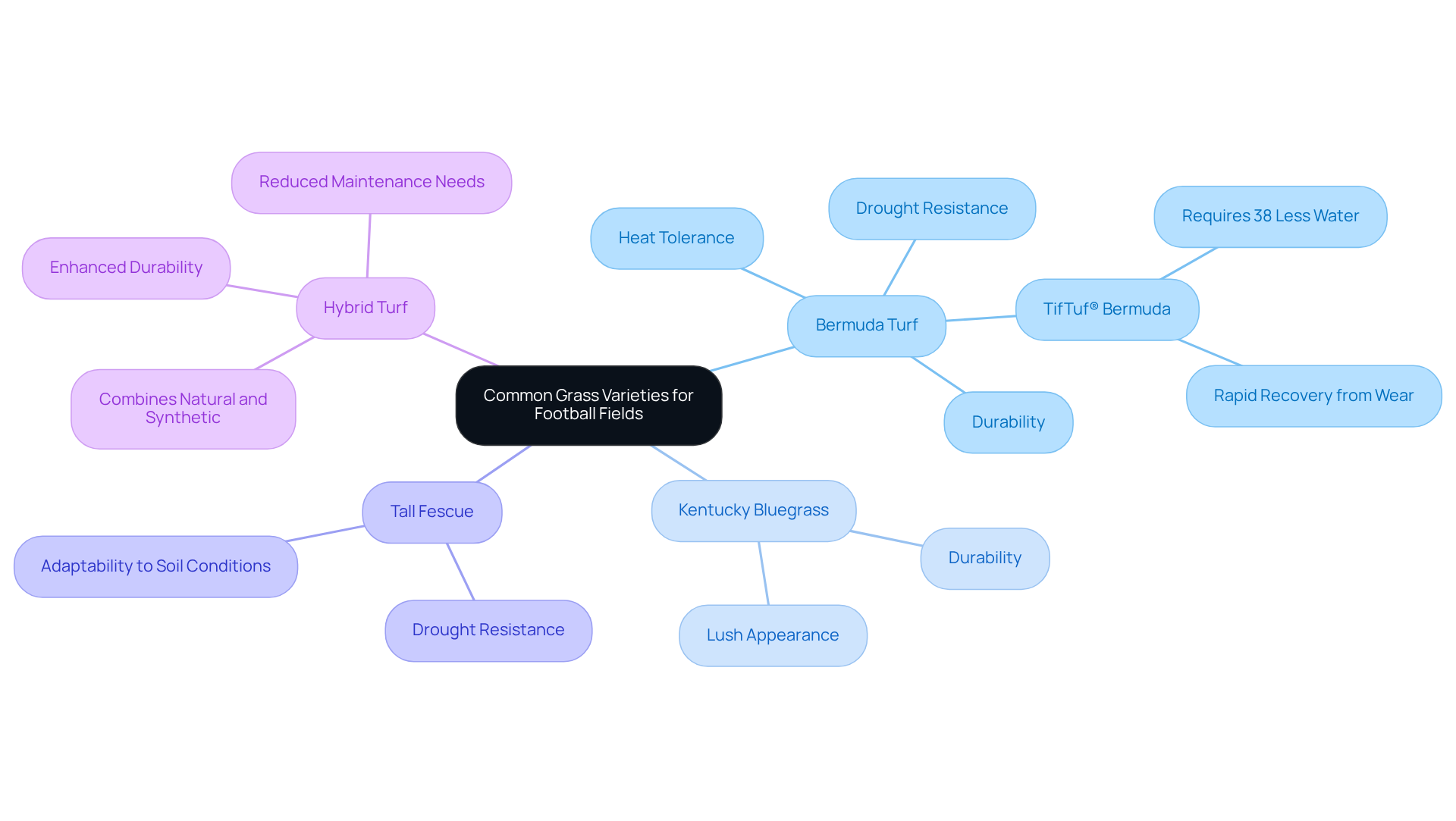 Start at the center with the main topic, then explore each type of grass and its features. Each branch shows a different variety, and the sub-branches explain what makes them special.