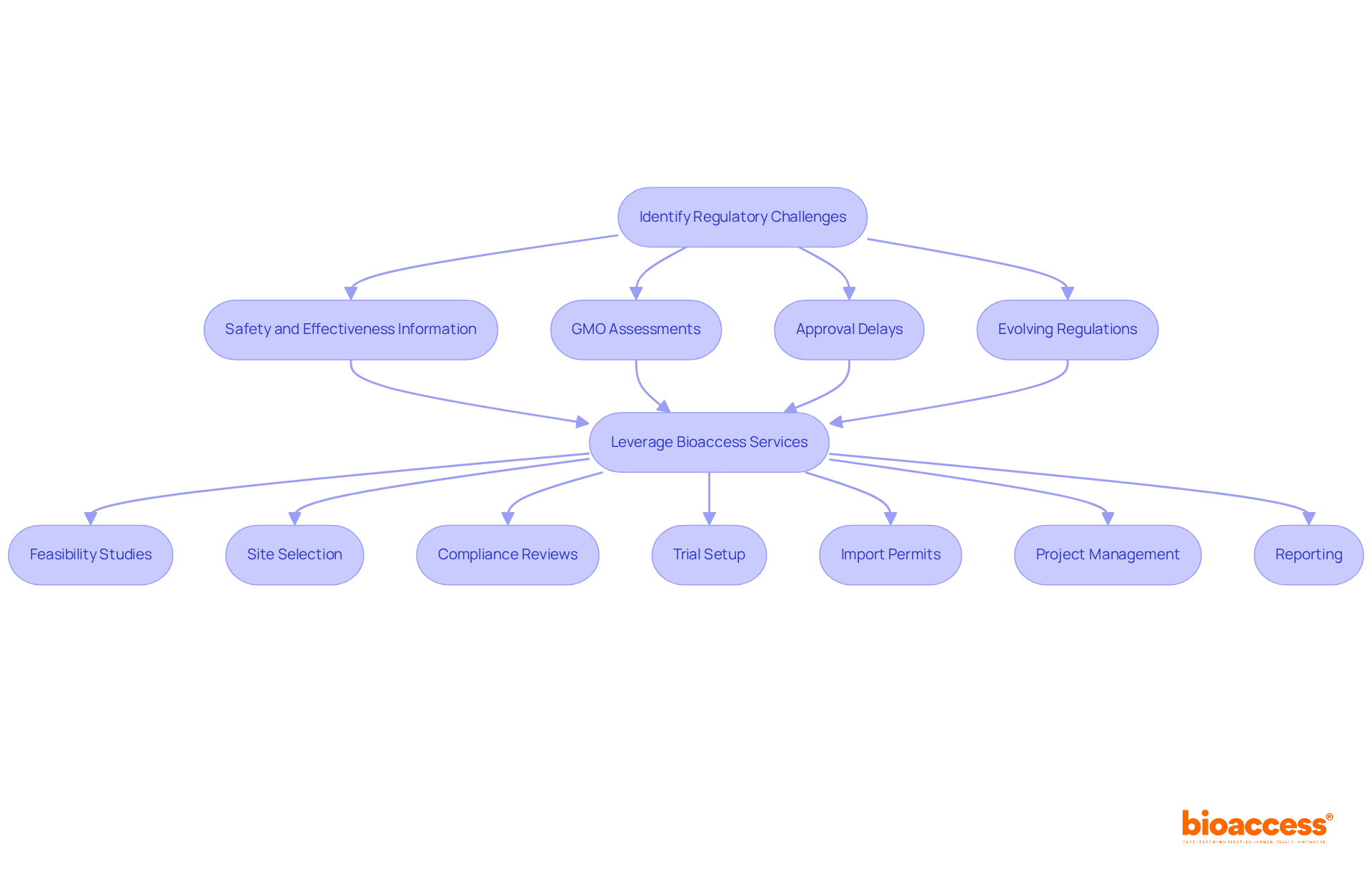 This flowchart outlines the steps to tackle regulatory challenges. Start with identifying the hurdles, then see how to leverage services to streamline the compliance process.