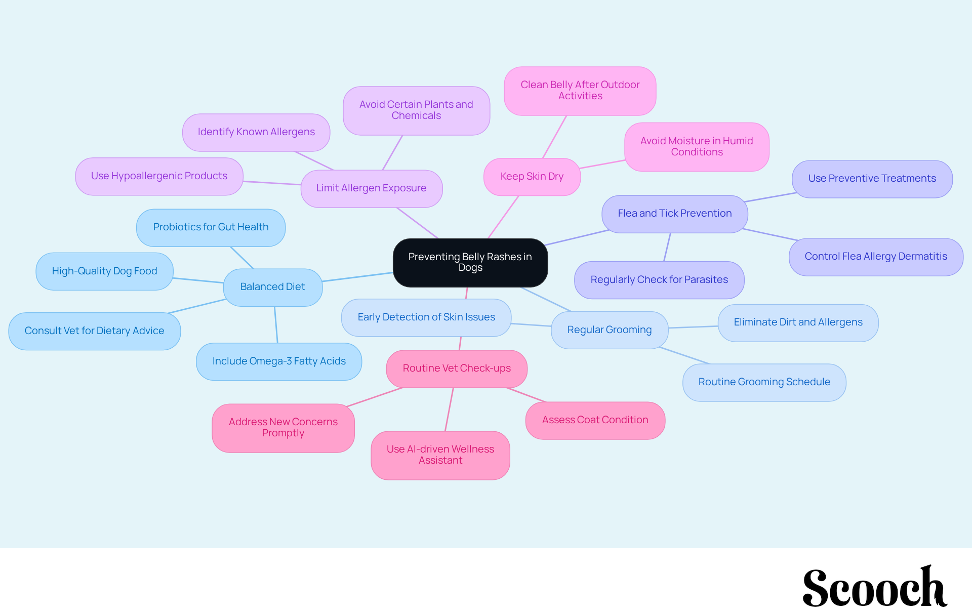 The center shows the main goal of preventing belly rashes. Each branch leads to a different strategy, and the sub-branches provide detailed actions. Follow the branches to understand how each strategy contributes to keeping your dog's skin healthy. The center shows the main goal of preventing belly rashes. Each branch leads to a different strategy, and the sub-branches provide detailed actions. Follow the branches to understand how each strategy contributes to keeping your dog's skin healthy.