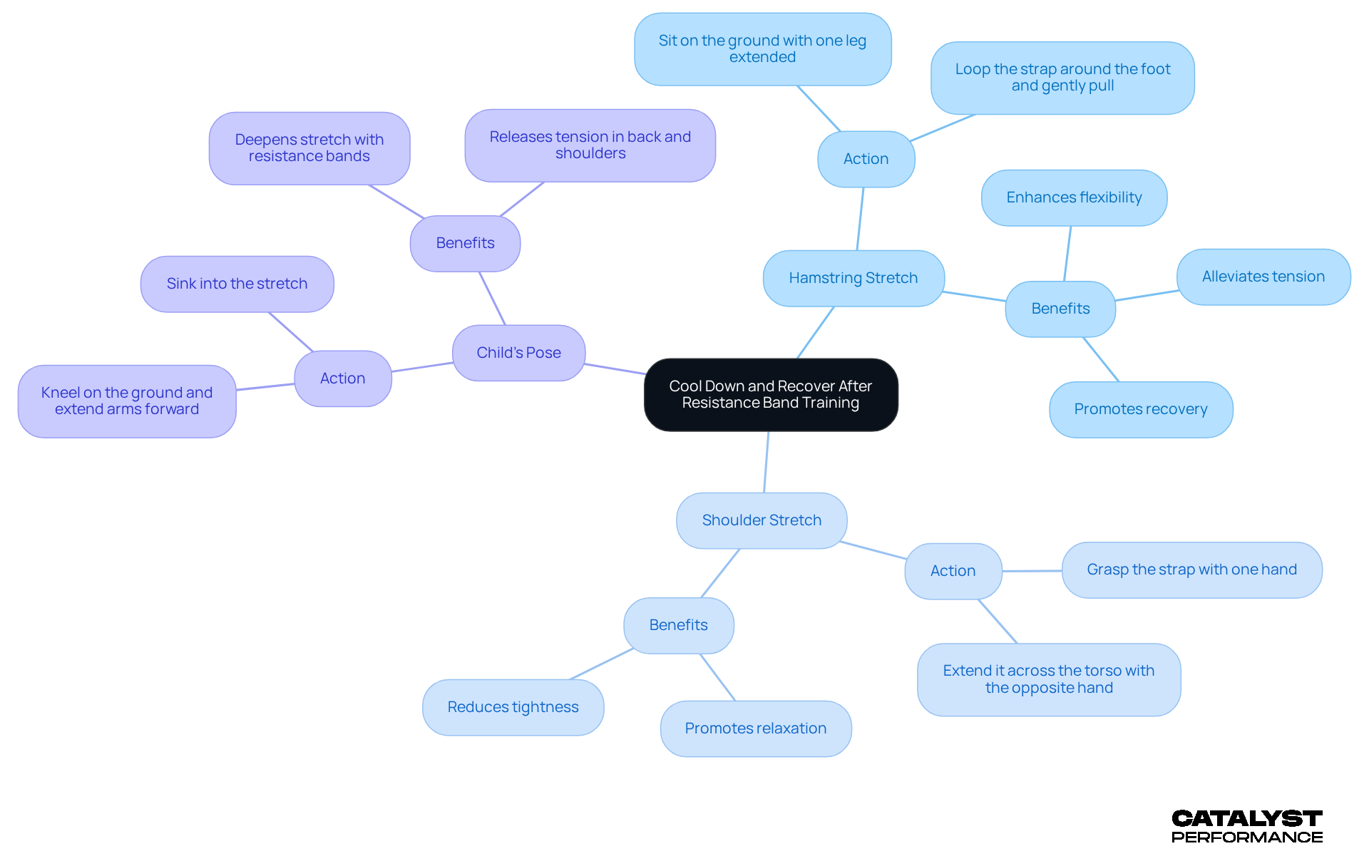 The center represents the importance of cooling down, while each branch shows a specific exercise. Follow the branches to learn how each exercise helps with recovery and flexibility. The center represents the importance of cooling down, while each branch shows a specific exercise. Follow the branches to learn how each exercise helps with recovery and flexibility.