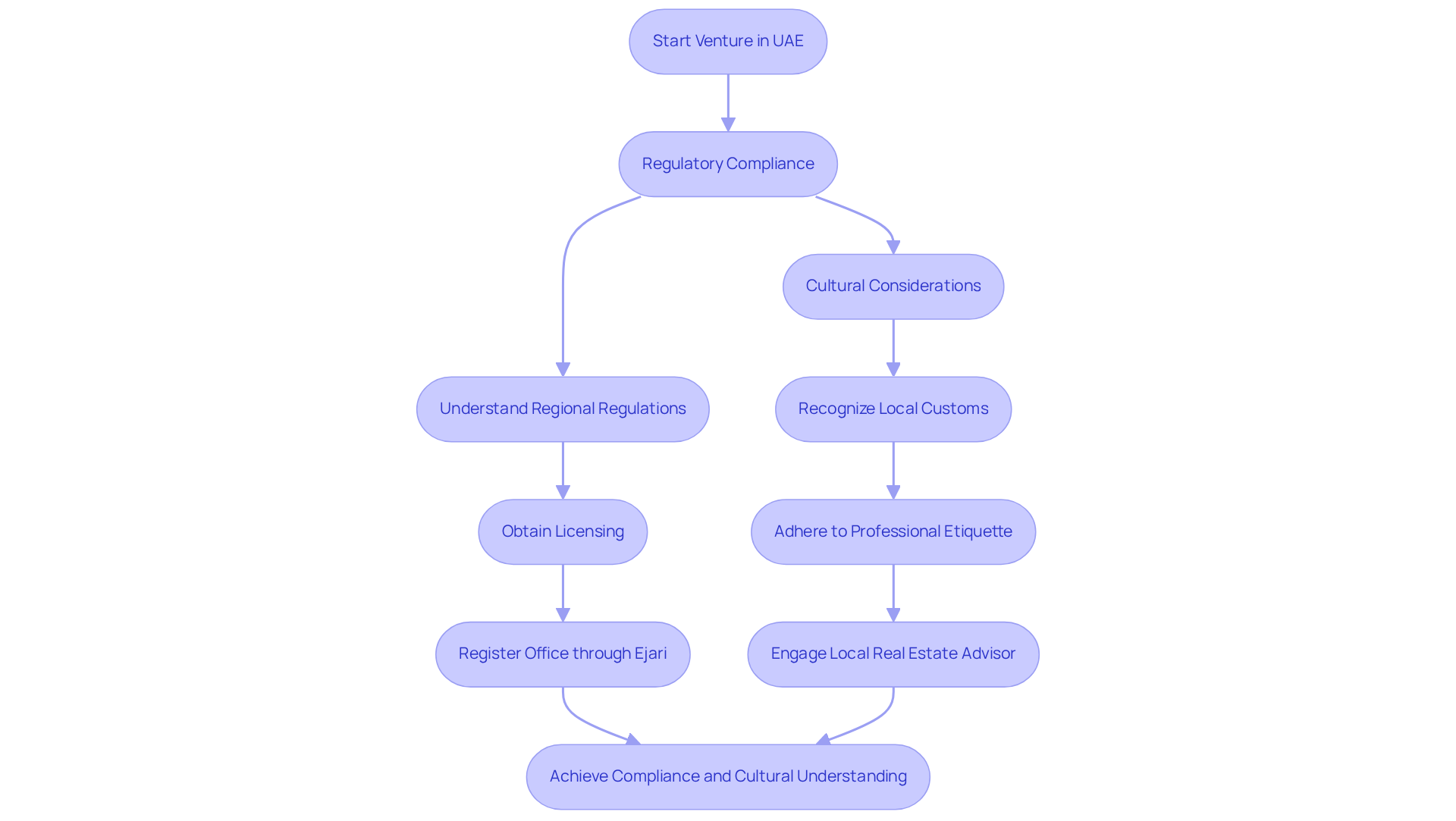 Follow the arrows to see the steps needed for compliance and cultural understanding. Each branch represents a key area of focus for successfully starting your venture.
