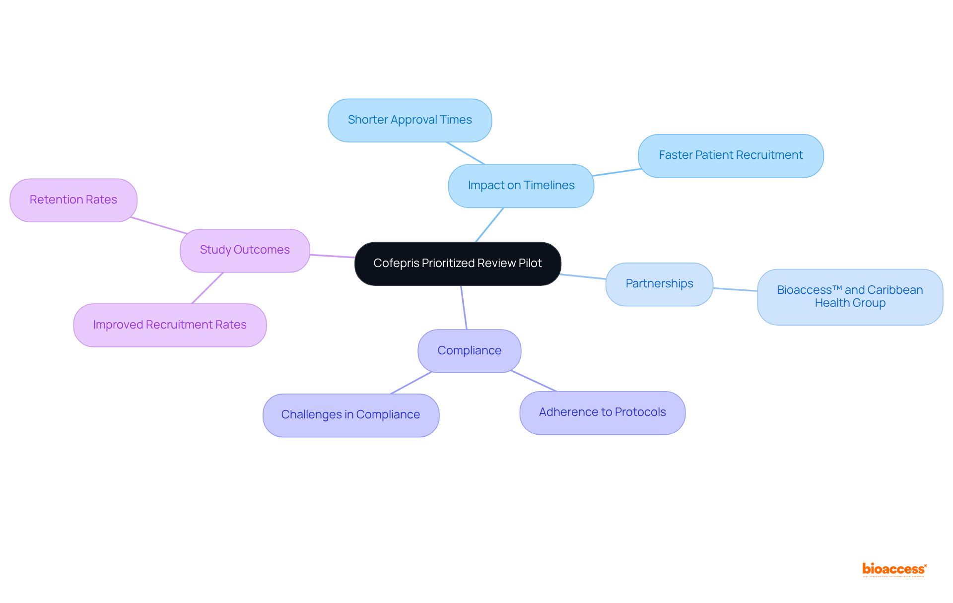 The central node highlights the pilot program, and the branches detail how it affects timelines, partnerships, and compliance. Each sub-branch provides deeper insights into specific impacts and considerations.