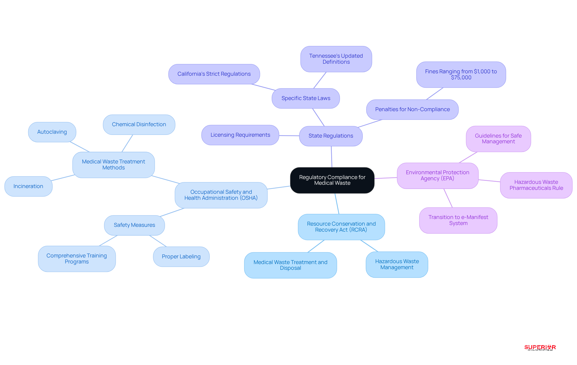 The center of the mindmap shows the main topic of regulatory compliance. Each branch represents a key regulation, and the sub-branches provide more details about what each regulation entails. This layout helps you see how different regulations connect and what healthcare providers need to do to comply.