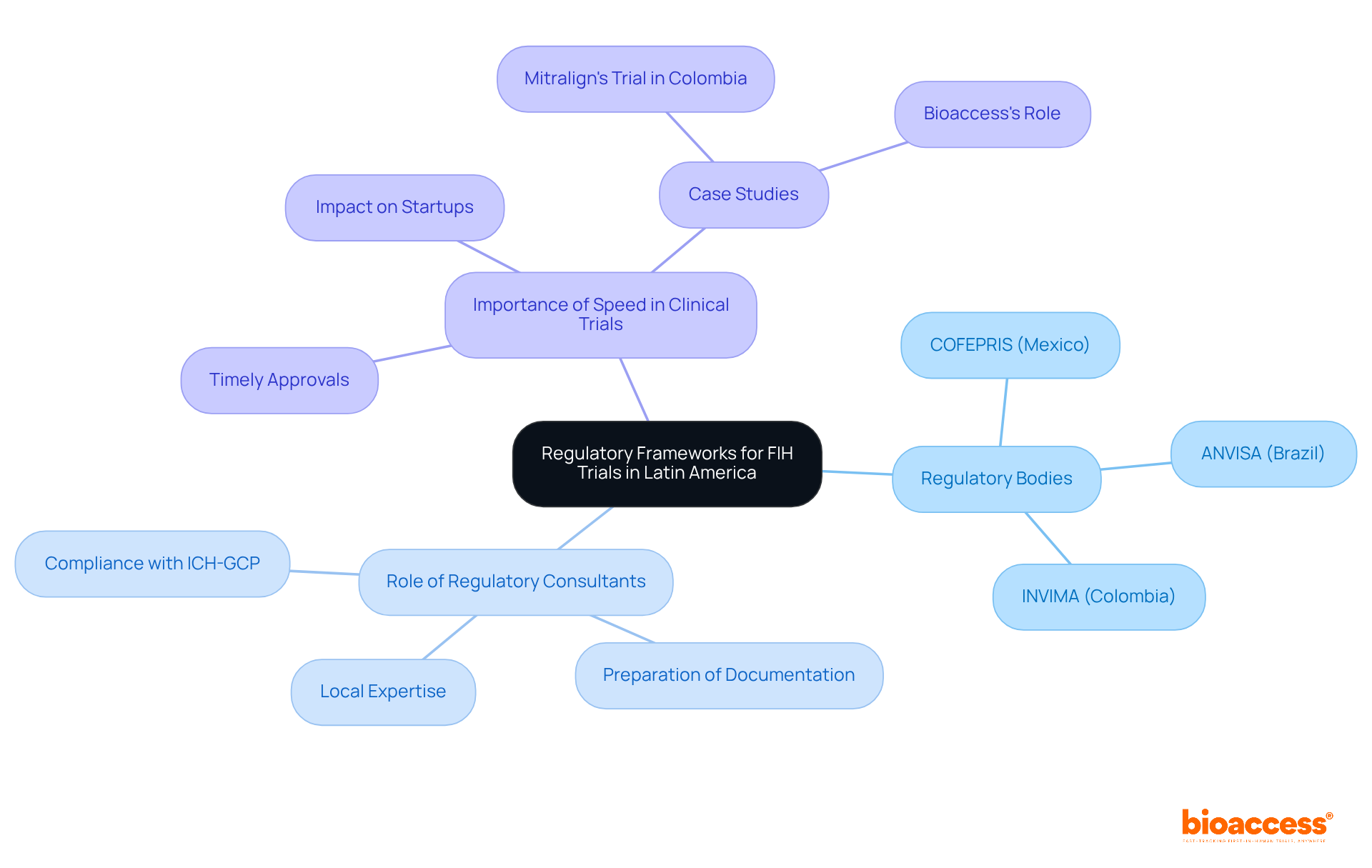 The central node represents the main topic, while the branches show key areas of focus. Each sub-branch provides specific details about regulatory bodies, the role of consultants, and the significance of speed in the approval process.
