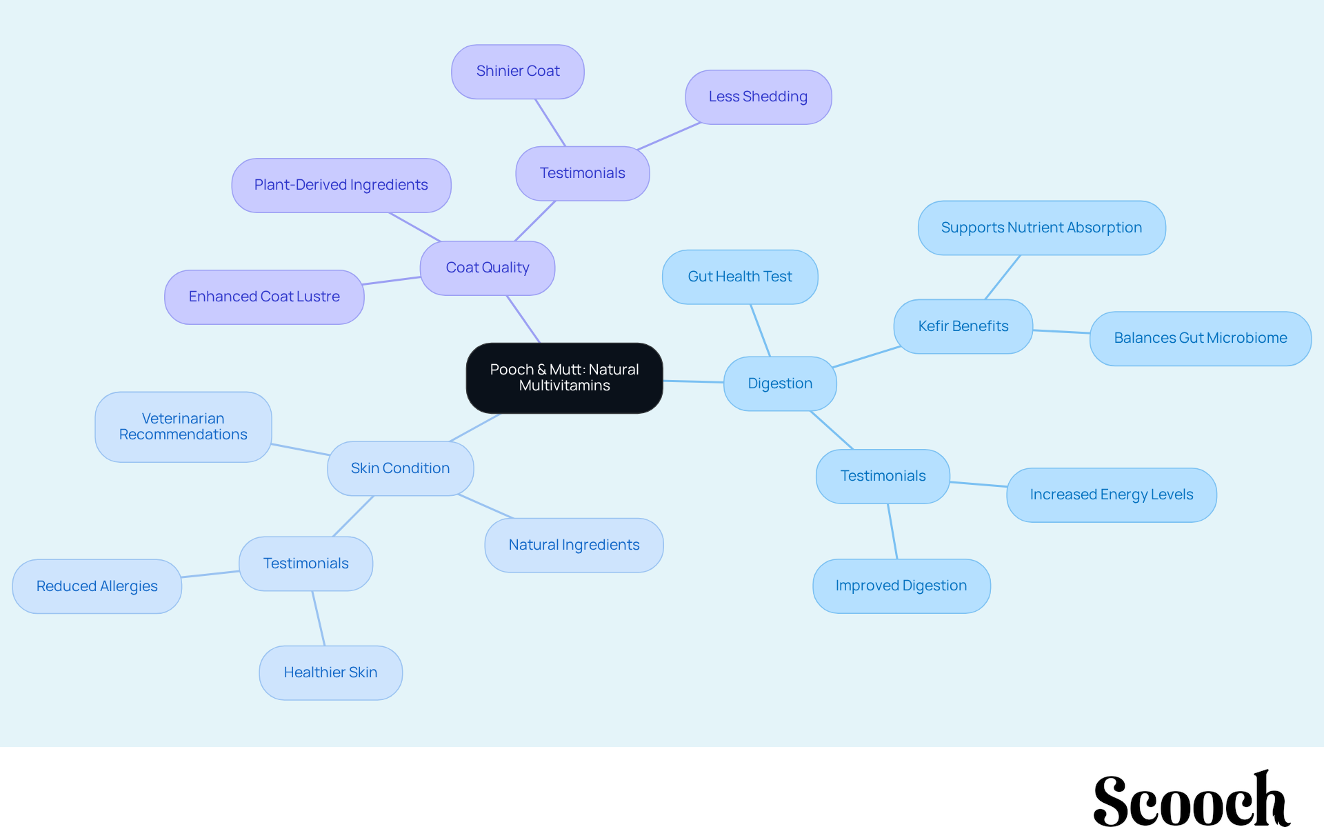 The central node represents Pooch & Mutt's multivitamins, while the branches show how they support different aspects of your dog's health. Each sub-branch highlights specific benefits or stories from pet owners, illustrating the positive impact of these supplements.