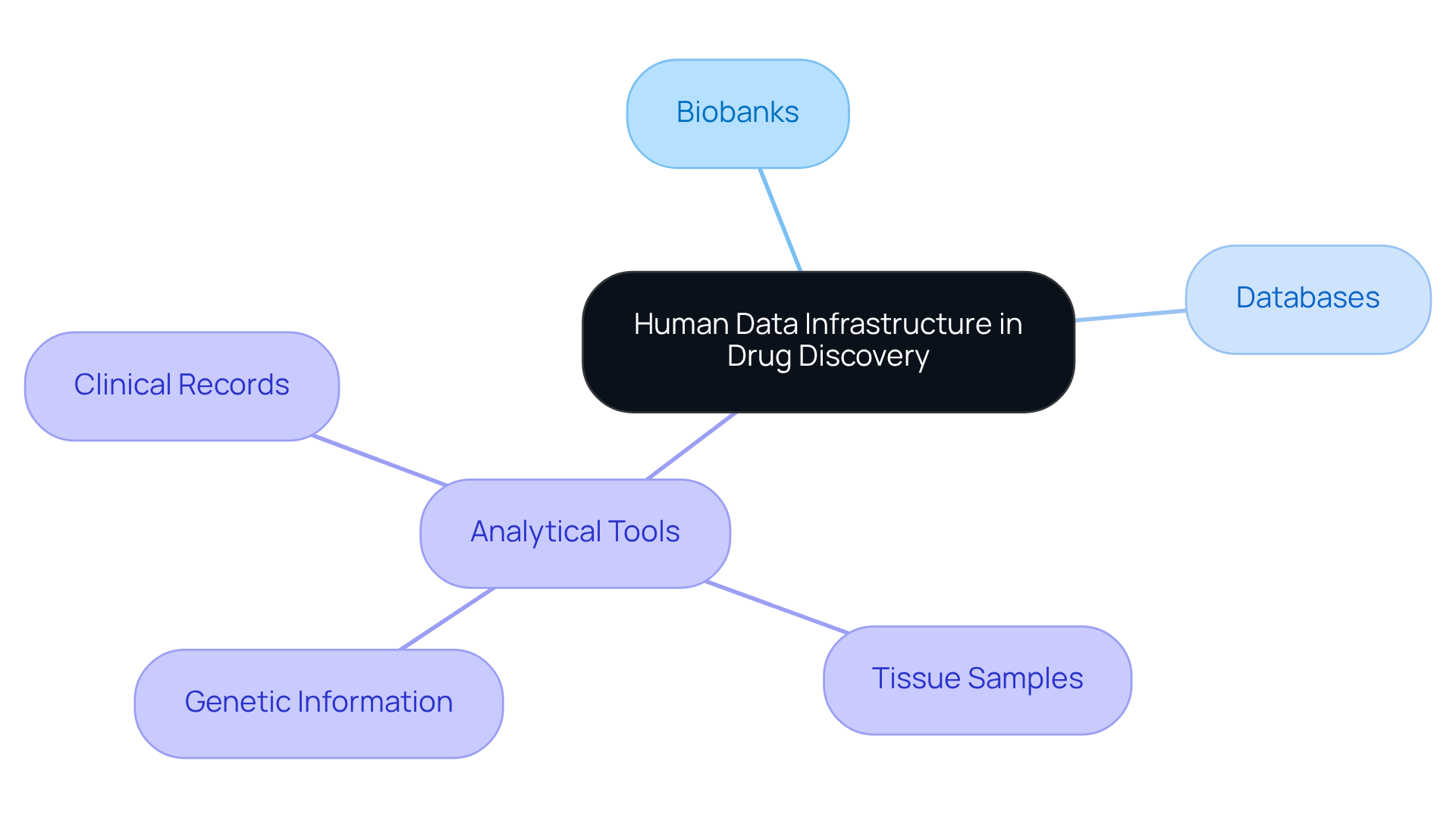 The central node represents the main concept, while the branches show the key components that support drug discovery. Each branch connects to specific elements that contribute to understanding and improving medication development.