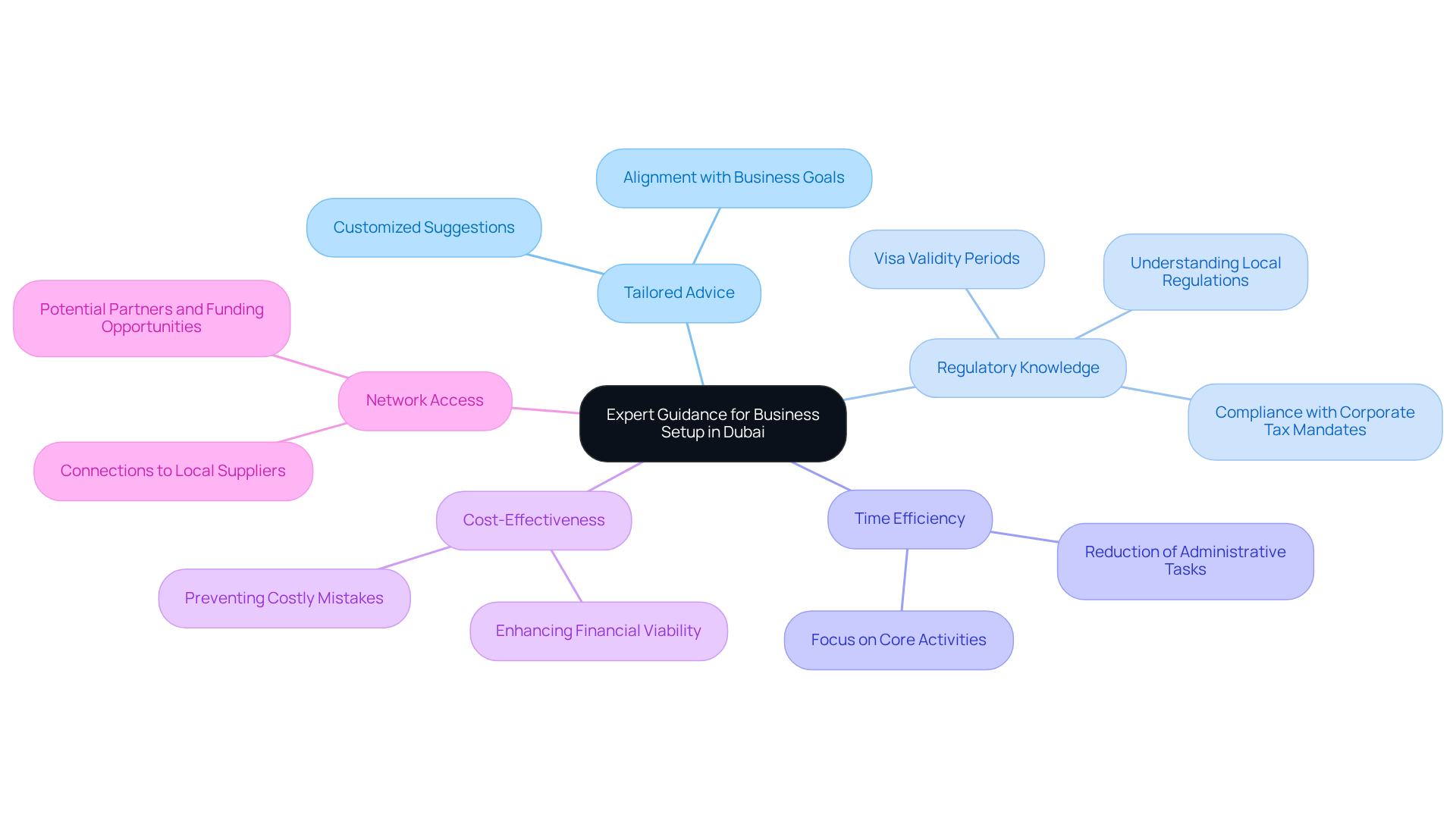 The central node represents the importance of expert guidance, while each branch highlights a specific benefit. Follow the branches to understand how each aspect contributes to successful business establishment.