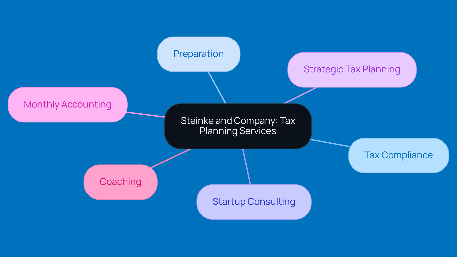 The central node represents Steinke and Company's focus on tax planning, while the branches show the specific services they offer to help small businesses thrive. The central node represents Steinke and Company's focus on tax planning, while the branches show the specific services they offer to help small businesses thrive.