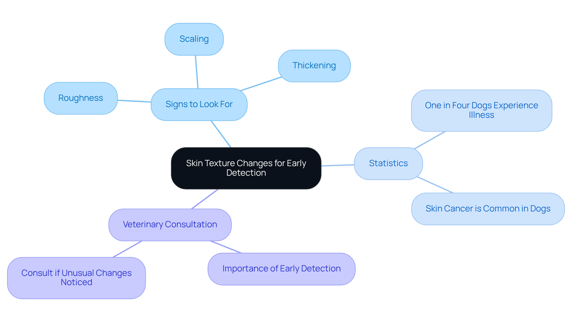 The center represents the main topic of skin texture changes. Follow the branches to discover specific signs, important statistics, and the need for veterinary care. The center represents the main topic of skin texture changes. Follow the branches to discover specific signs, important statistics, and the need for veterinary care.