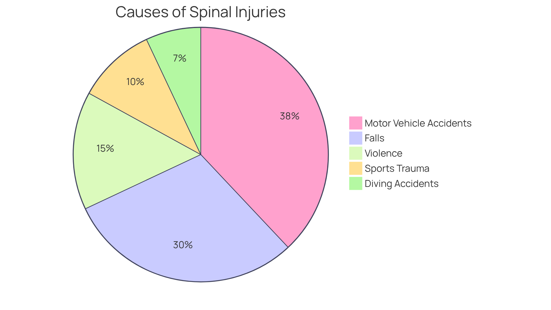 Each slice of the pie shows the percentage of spinal cord injuries caused by different incidents. The larger the slice, the more significant the cause. For example, motor vehicle accidents are the biggest slice, indicating they are the leading cause of these injuries. Each slice of the pie shows the percentage of spinal cord injuries caused by different incidents. The larger the slice, the more significant the cause. For example, motor vehicle accidents are the biggest slice, indicating they are the leading cause of these injuries.