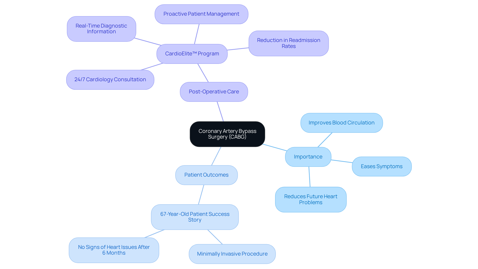 The central node represents CABG, with branches showing its importance, outcomes for patients, and the role of post-operative care. Each branch highlights key points, making it easy to see how they relate to the main topic.