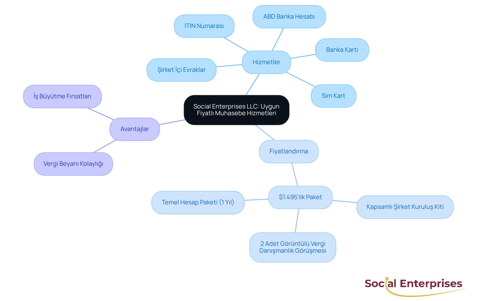 Merkezdeki başlık, Social Enterprises LLC'nin sunduğu hizmetleri temsil eder. Her dal, belirli bir konuyu veya hizmeti gösterir ve alt maddelerle detaylandırılır.