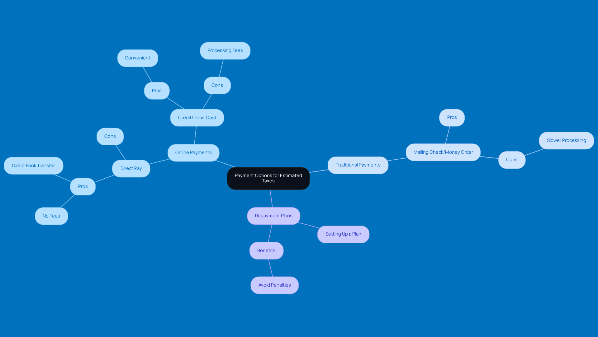 The central node represents the main topic of payment options. Each branch shows a different method, with sub-branches detailing specific features or considerations. This layout helps you quickly understand your choices and their benefits.