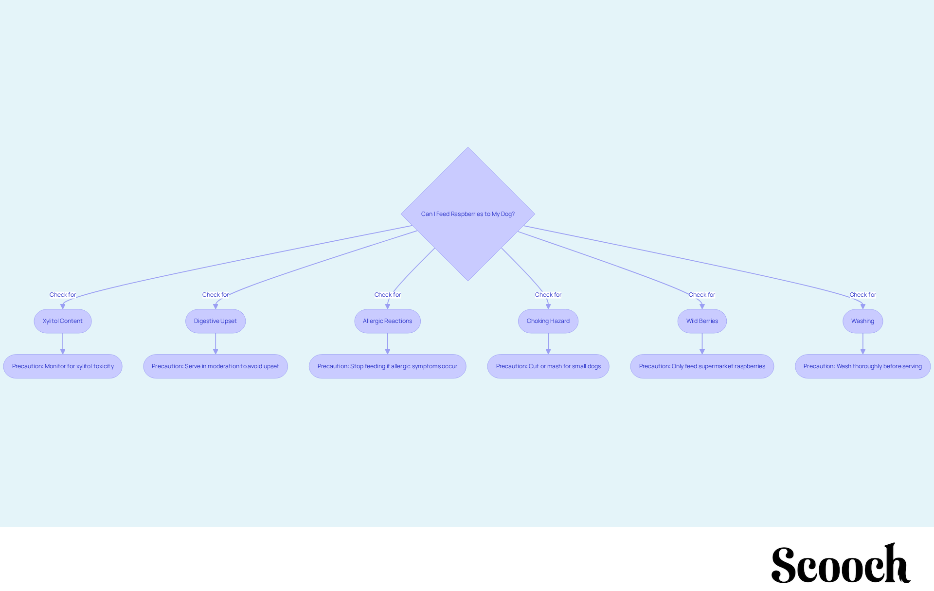 Each section of the flowchart explains a potential risk when feeding raspberries to dogs, along with precautions to take. Follow the arrows to understand how to safely offer this treat. Each section of the flowchart explains a potential risk when feeding raspberries to dogs, along with precautions to take. Follow the arrows to understand how to safely offer this treat.