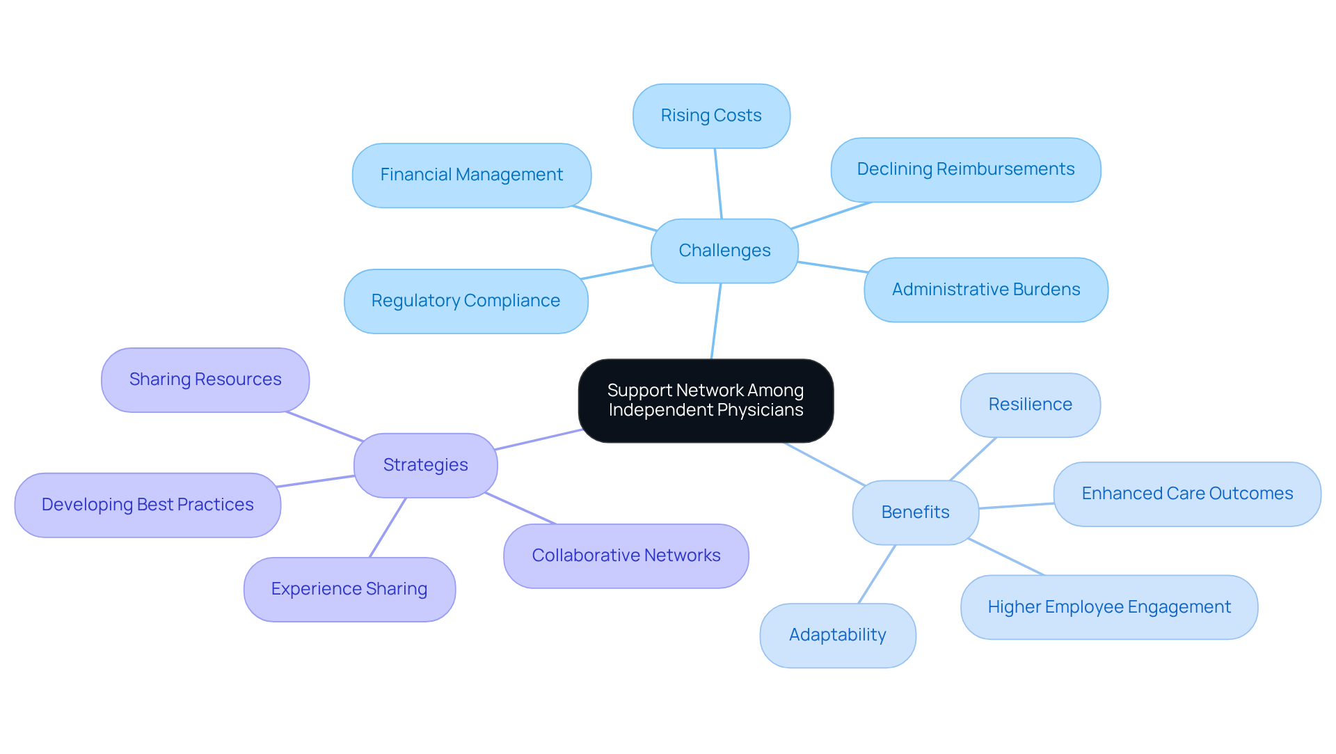 The central node represents the main idea of creating a support network. Each branch shows related challenges, benefits, and strategies, helping you understand how they all connect to support independent physicians.