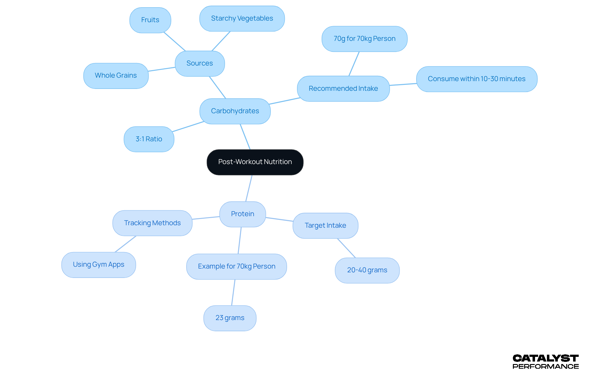 The center shows the main focus on nutrition after workouts. Follow the branches to see how carbohydrates and protein fit into your recovery plan, along with tips on how to track your intake.