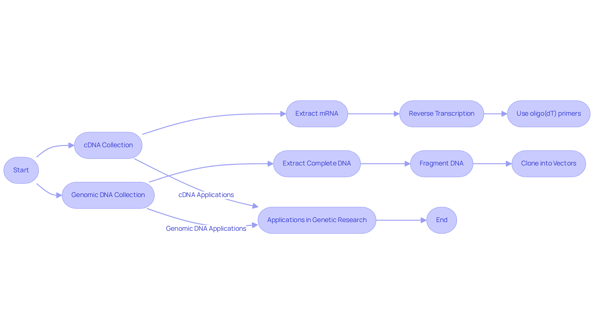 This flowchart outlines the steps involved in constructing cDNA and genomic DNA collections. Follow the arrows to see how each method is carried out and what applications they serve in genetic research.