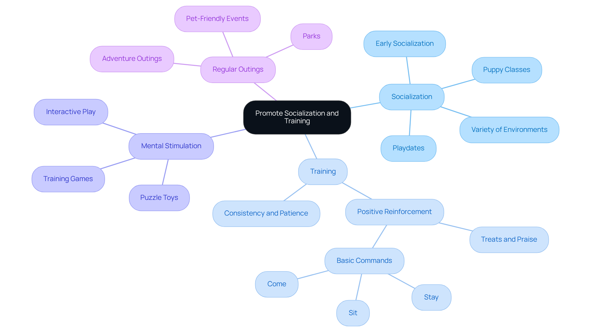 The central idea represents the focus on socialization and training. Each branch shows a specific strategy, with further details provided on how to implement them. This helps visualize the comprehensive approach needed for a well-behaved pet. The central idea represents the focus on socialization and training. Each branch shows a specific strategy, with further details provided on how to implement them. This helps visualize the comprehensive approach needed for a well-behaved pet.