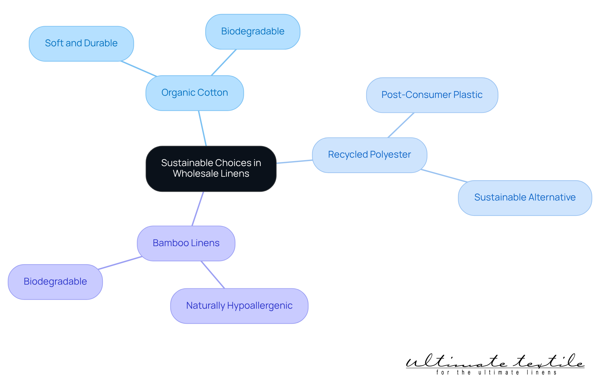 Start at the center with the main idea of sustainable choices, then follow the branches to see each product option and what makes it eco-friendly. Start at the center with the main idea of sustainable choices, then follow the branches to see each product option and what makes it eco-friendly.