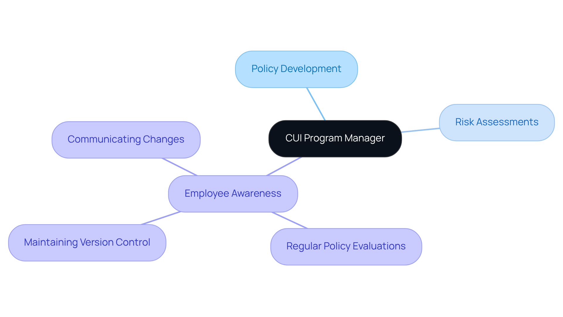 The center shows the CUI Program Manager's role, with branches illustrating their responsibilities and practical strategies to ensure compliance.