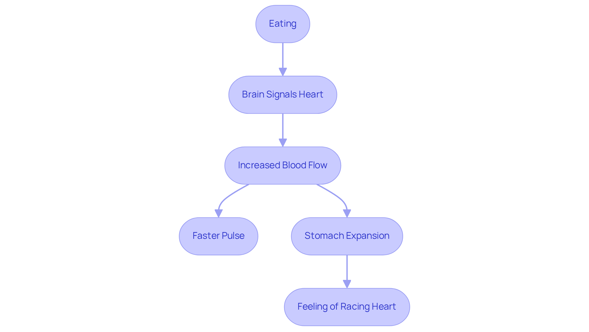 This flowchart shows how eating triggers a series of responses in your body. Each box represents a step in the process, leading to the sensation of a racing heart after a meal.