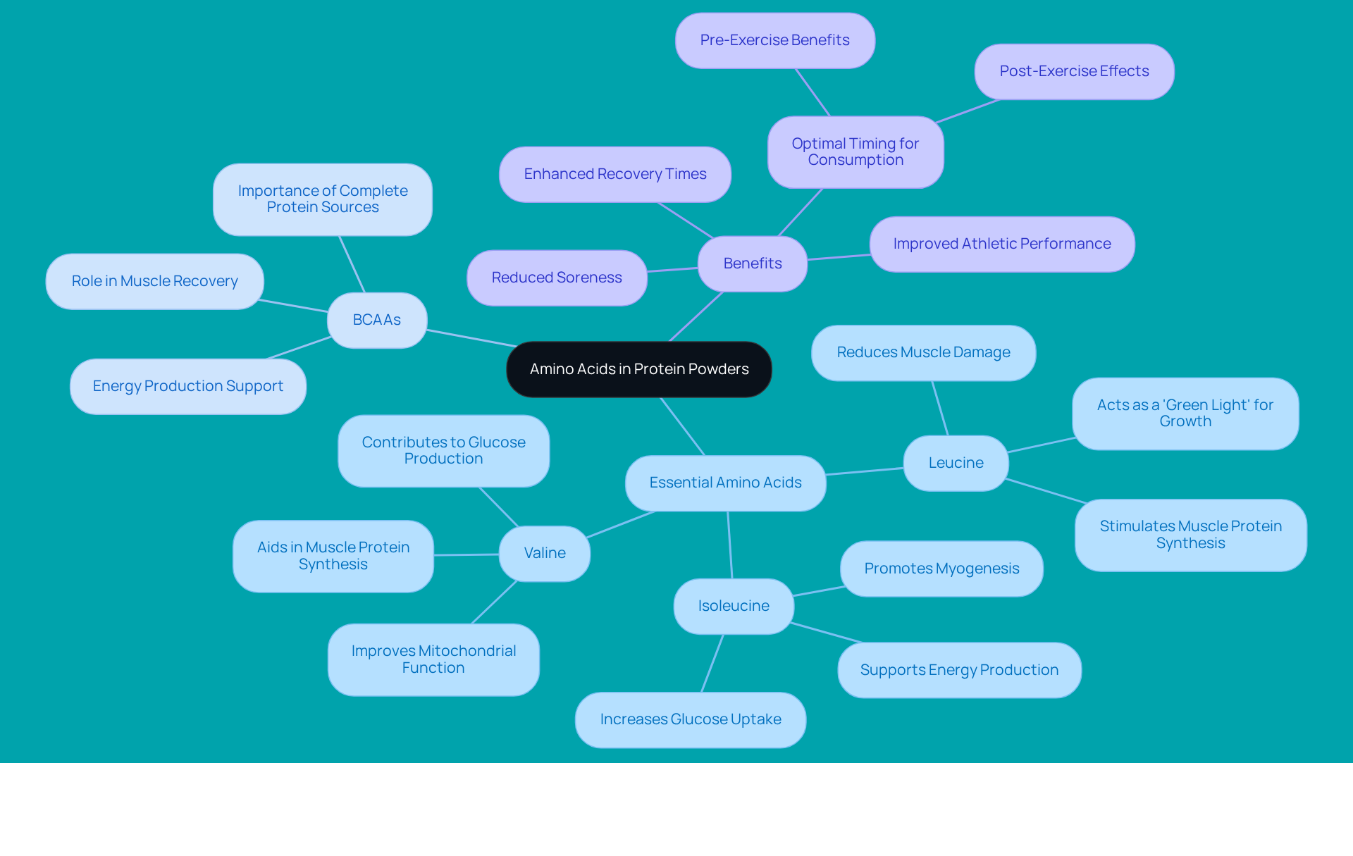 The central idea is the importance of amino acids in protein powders. Each branch dives into specific amino acids and their contributions to muscle recovery, showing how they work together to support your fitness journey. The central idea is the importance of amino acids in protein powders. Each branch dives into specific amino acids and their contributions to muscle recovery, showing how they work together to support your fitness journey.