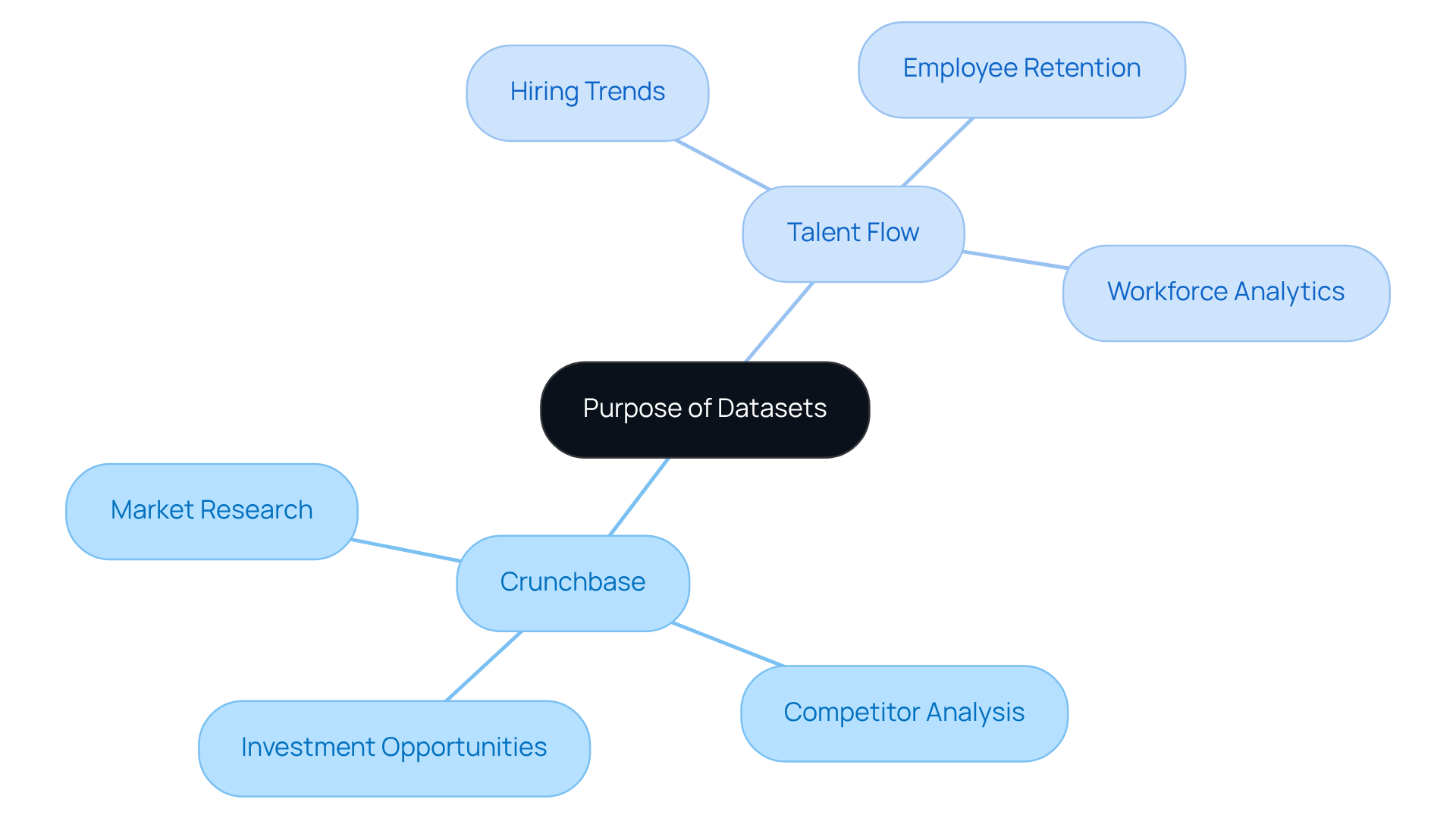 The center shows the main topic of dataset purposes. The branches illustrate the unique functionalities of each dataset, helping viewers easily compare and understand their applications in business strategies.