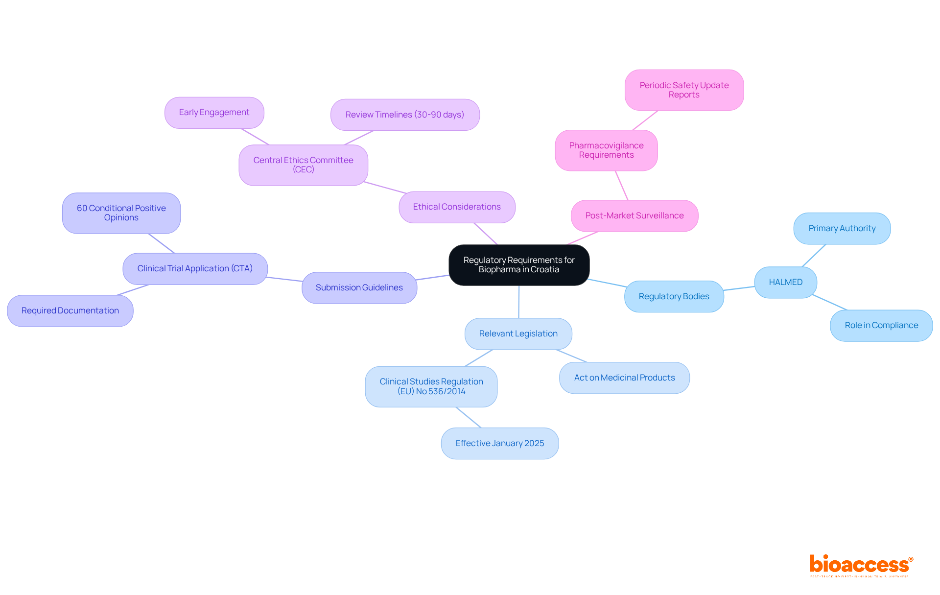 The central node represents the main topic, while the branches show key areas of focus. Each sub-branch provides additional details, helping you understand how each component contributes to the overall regulatory landscape.