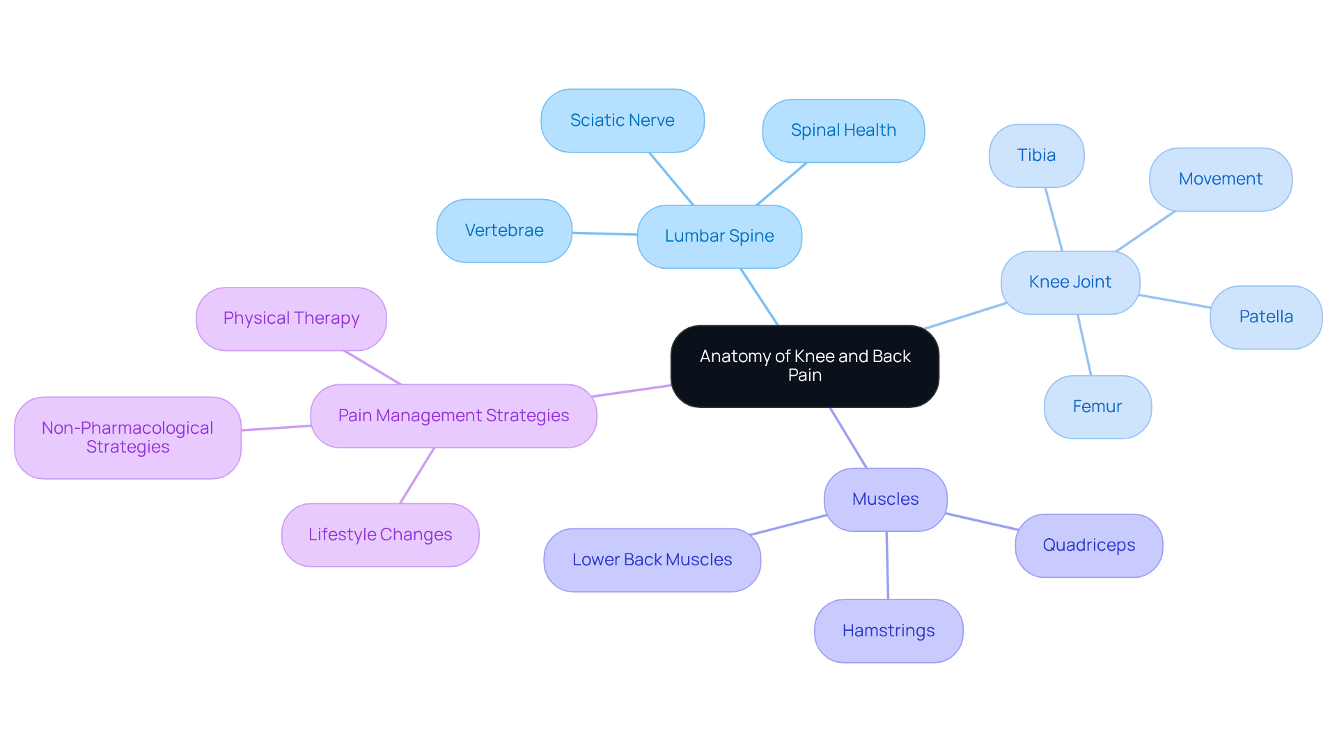 This mindmap shows how different parts of your body are connected when it comes to knee and back pain. Start at the center with the main topic, then follow the branches to see how the spine, knee joint, and muscles relate to each other and how they can affect your pain management. This mindmap shows how different parts of your body are connected when it comes to knee and back pain. Start at the center with the main topic, then follow the branches to see how the spine, knee joint, and muscles relate to each other and how they can affect your pain management.