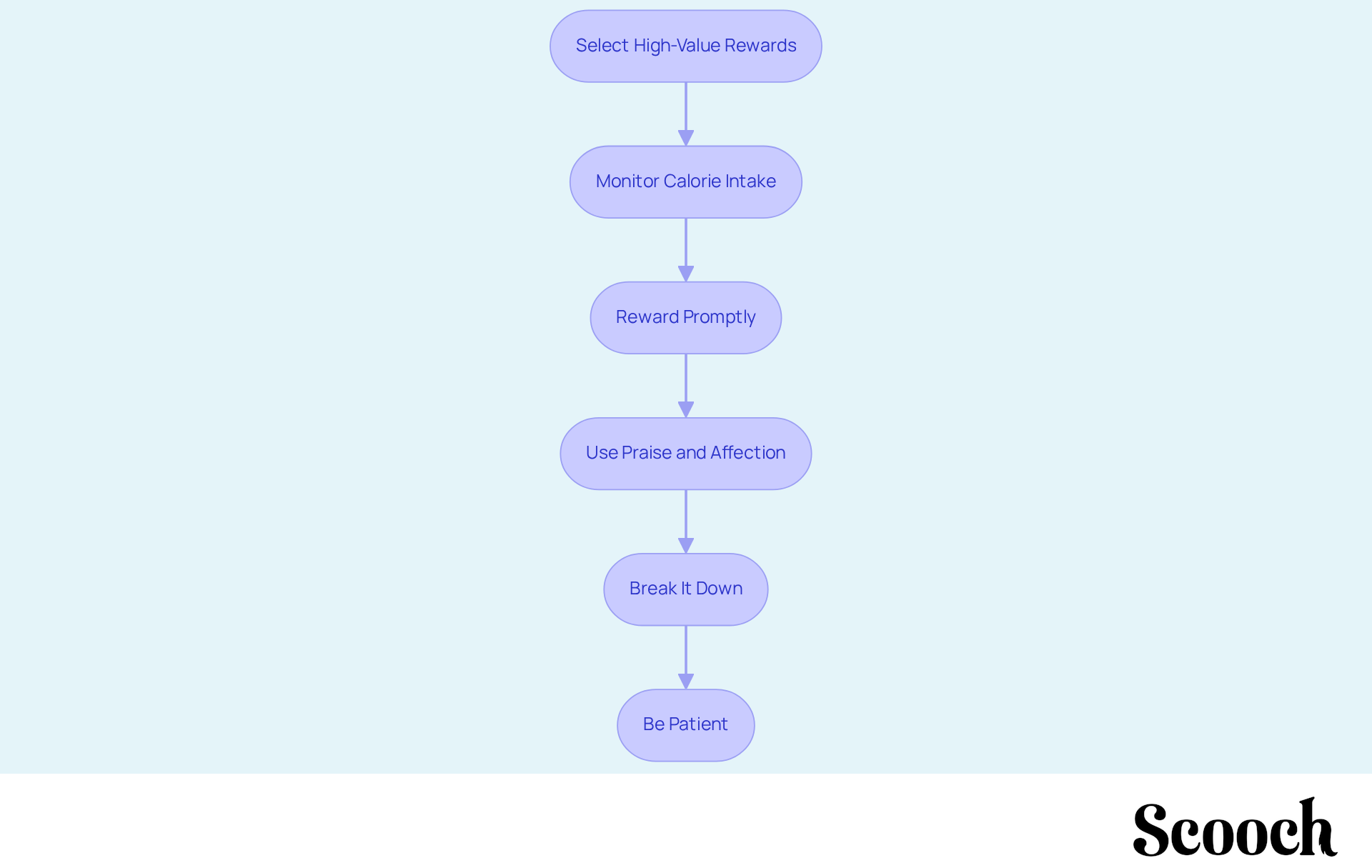 Each box represents a step you can take to make nail trimming a more positive experience for your dog. Follow the arrows to see how each step leads to the next, helping you build a better relationship with your pet during grooming.