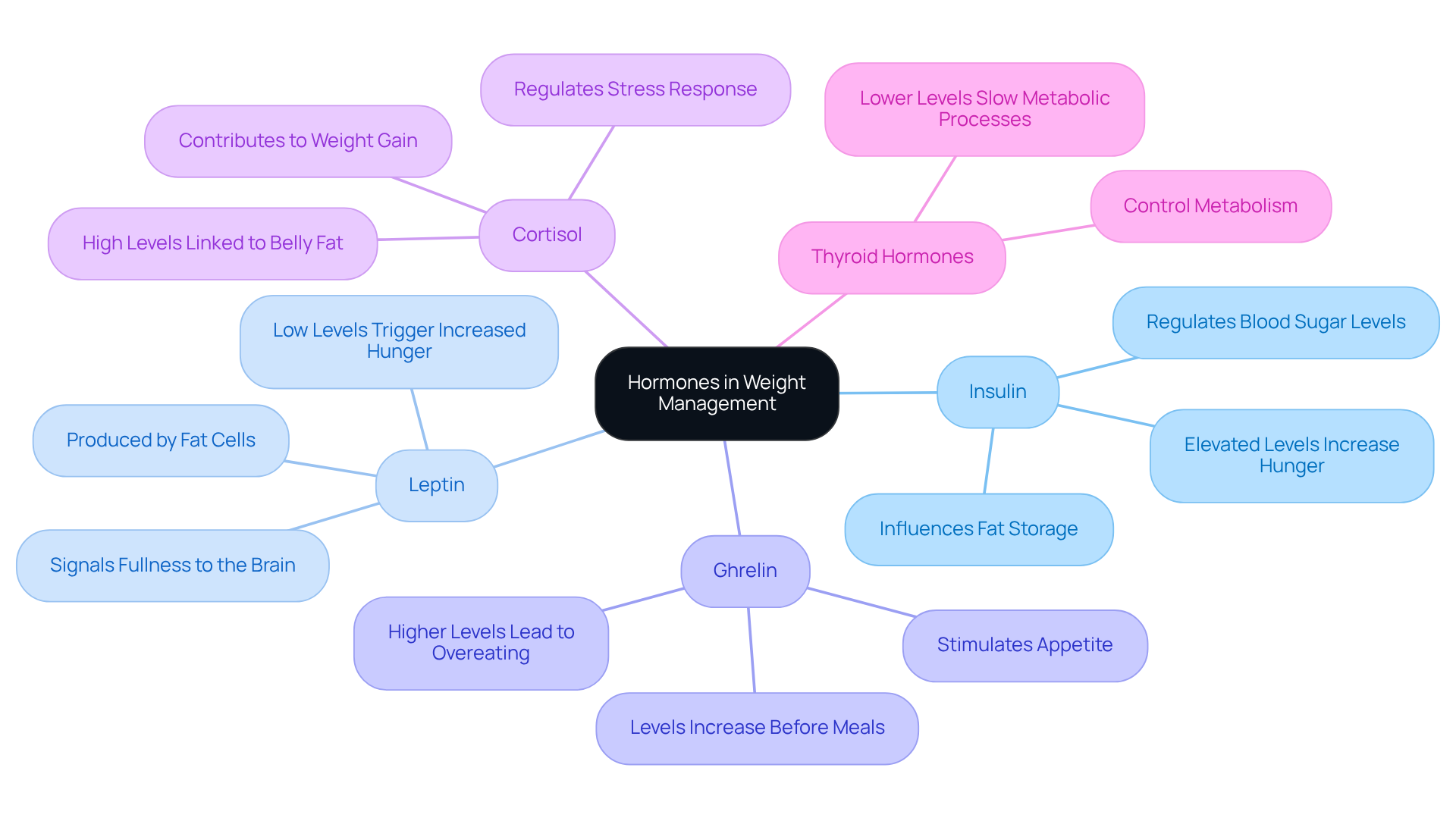 This mindmap illustrates how different hormones affect weight management. Start at the center with the main topic, then explore each hormone's role and how they contribute to appetite, metabolism, and fat storage. Each branch represents a hormone, and the sub-branches explain their specific impacts. This mindmap illustrates how different hormones affect weight management. Start at the center with the main topic, then explore each hormone's role and how they contribute to appetite, metabolism, and fat storage. Each branch represents a hormone, and the sub-branches explain their specific impacts.