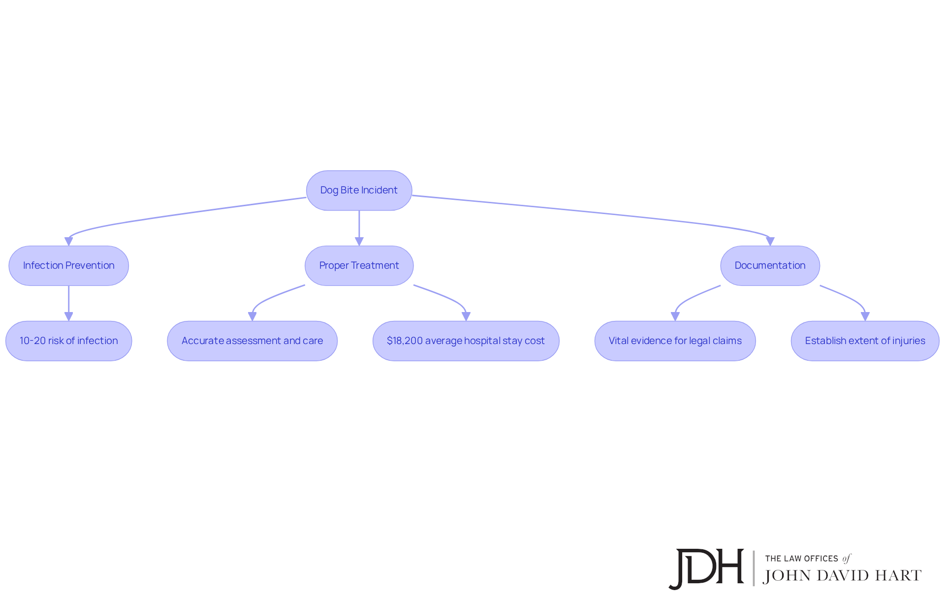 This flowchart guides you through the steps to take after a dog bite. Start at the top with the incident, then follow the arrows to see why it's crucial to seek medical help immediately. Each box explains a key reason, and the sub-points provide more details on why acting quickly is important.