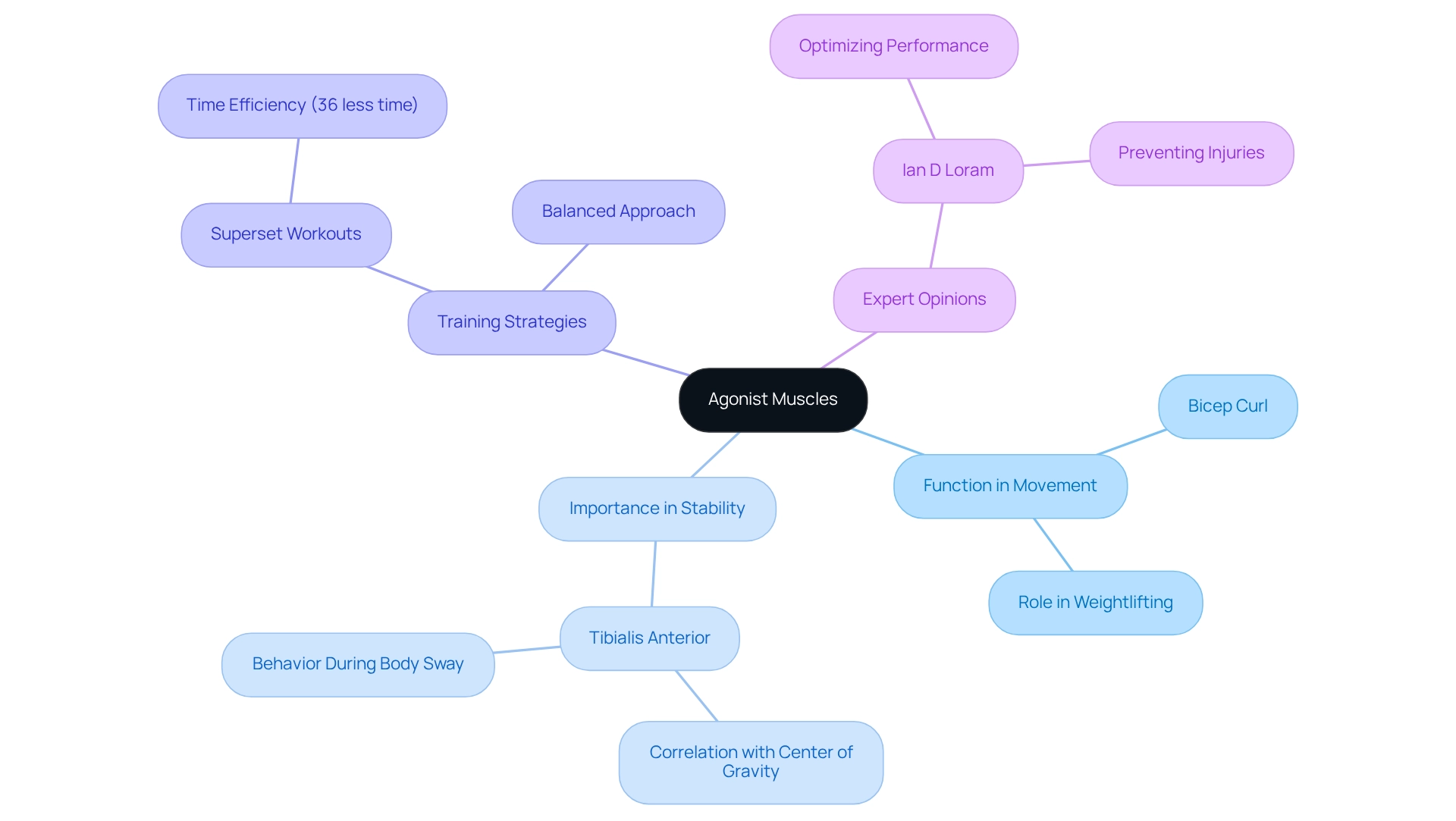 The central node represents agonist muscles, with branches illustrating their functions, importance, training strategies, and expert insights.