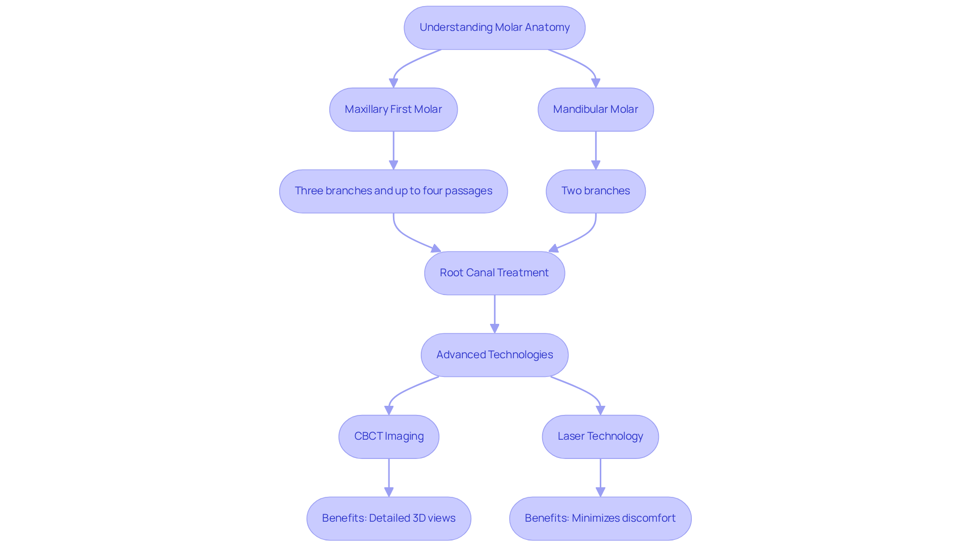 This flowchart guides you through the complexities of molar anatomy and the treatment process. Start at the top with understanding the anatomy, then follow the branches to see how different molars are structured. Next, learn about the root canal treatment and the advanced technologies that make the process smoother and more effective. This flowchart guides you through the complexities of molar anatomy and the treatment process. Start at the top with understanding the anatomy, then follow the branches to see how different molars are structured. Next, learn about the root canal treatment and the advanced technologies that make the process smoother and more effective.