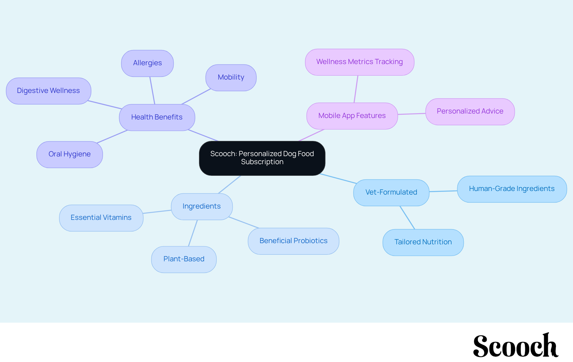 The center represents Scooch's service, and the branches show different aspects of the offering. Each branch highlights important features and benefits, helping you understand how Scooch supports your dog's health.